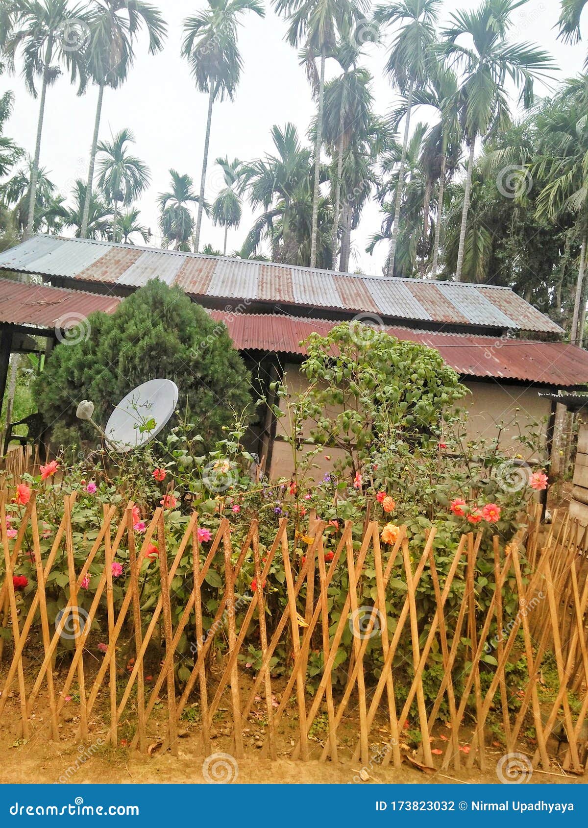A Front Site of a House in a Village ,Assam Editorial Photography ...