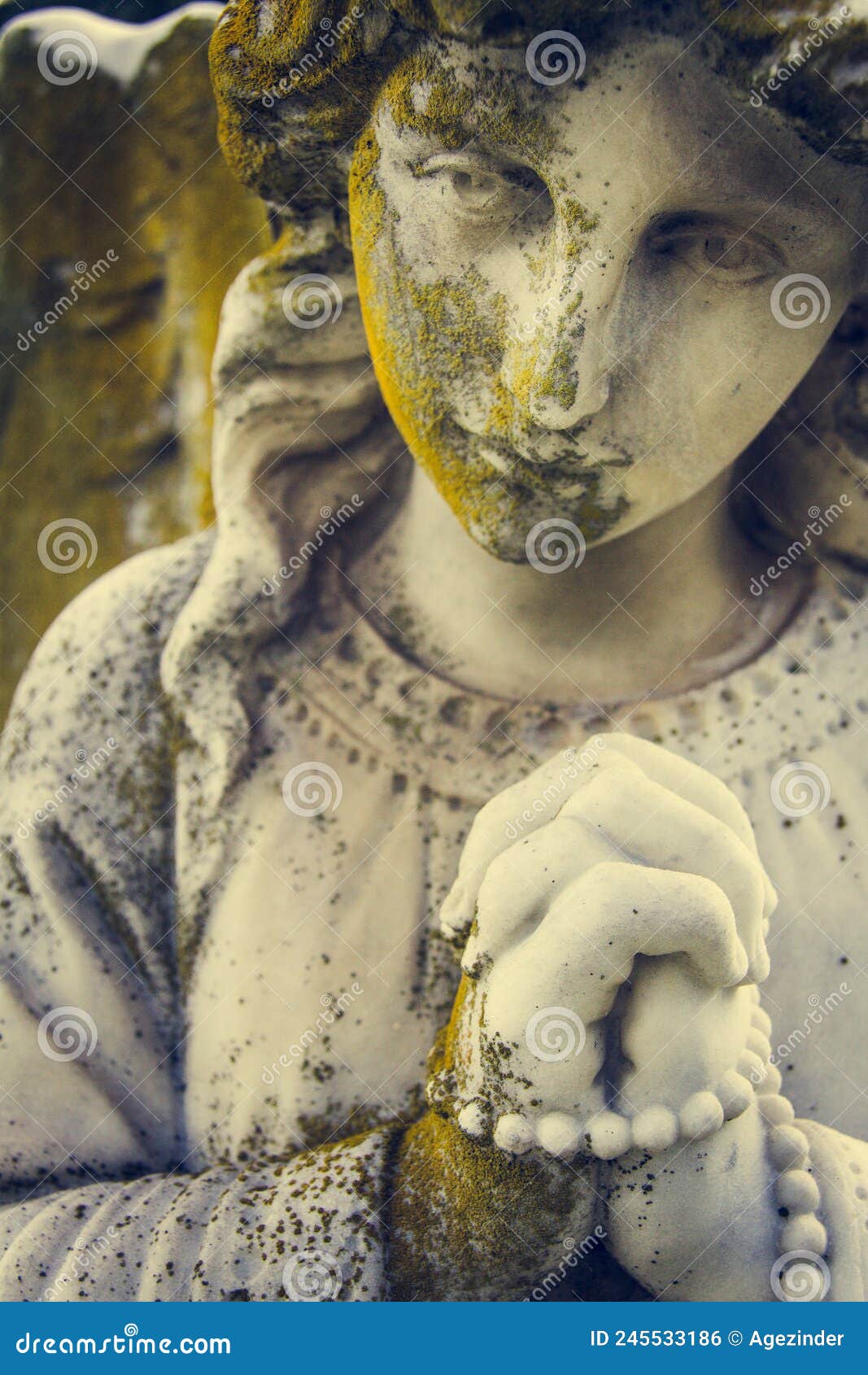 Front View Praying Angel Statue with Moss Stock Photo - Image of ...