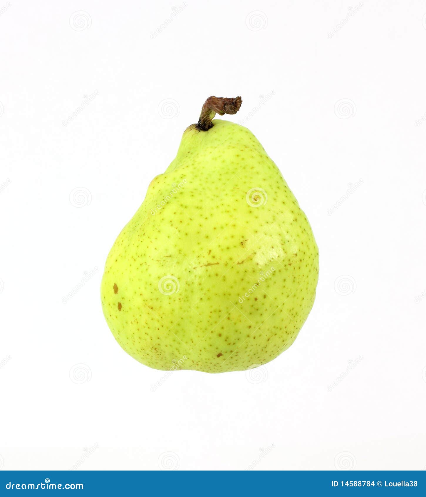 Front View Anjou Pear stock photo. Image of yellowish - 14588784