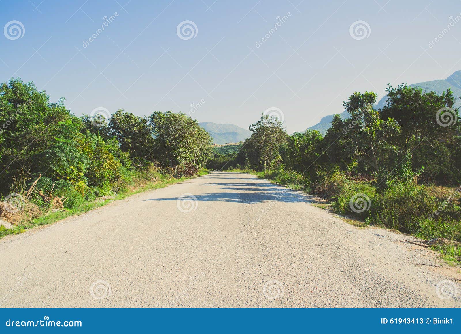 Front View of Asphalt Road with Fruit Trees on Road-sides, Moutains ...
