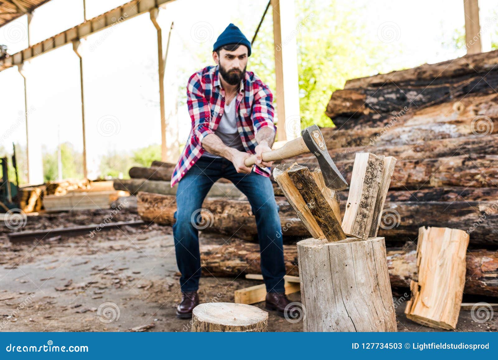 Front View of Bearded Lumberjack in Checkered Shirt Chopping Log Stock ...
