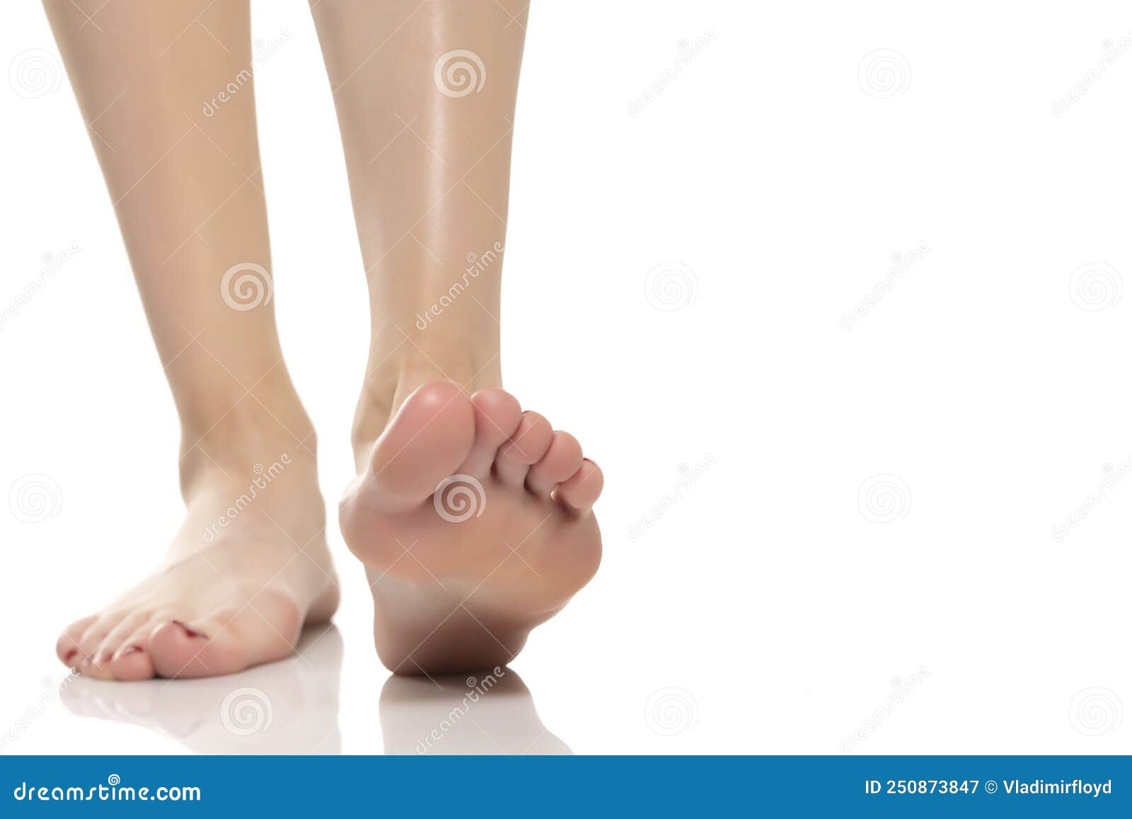 Front View of a Beautifully Cared Female Feet and Toes on a White ...