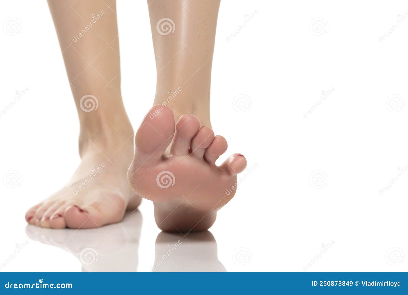 Front View of a Beautifully Cared Female Feet and Toes on a White ...