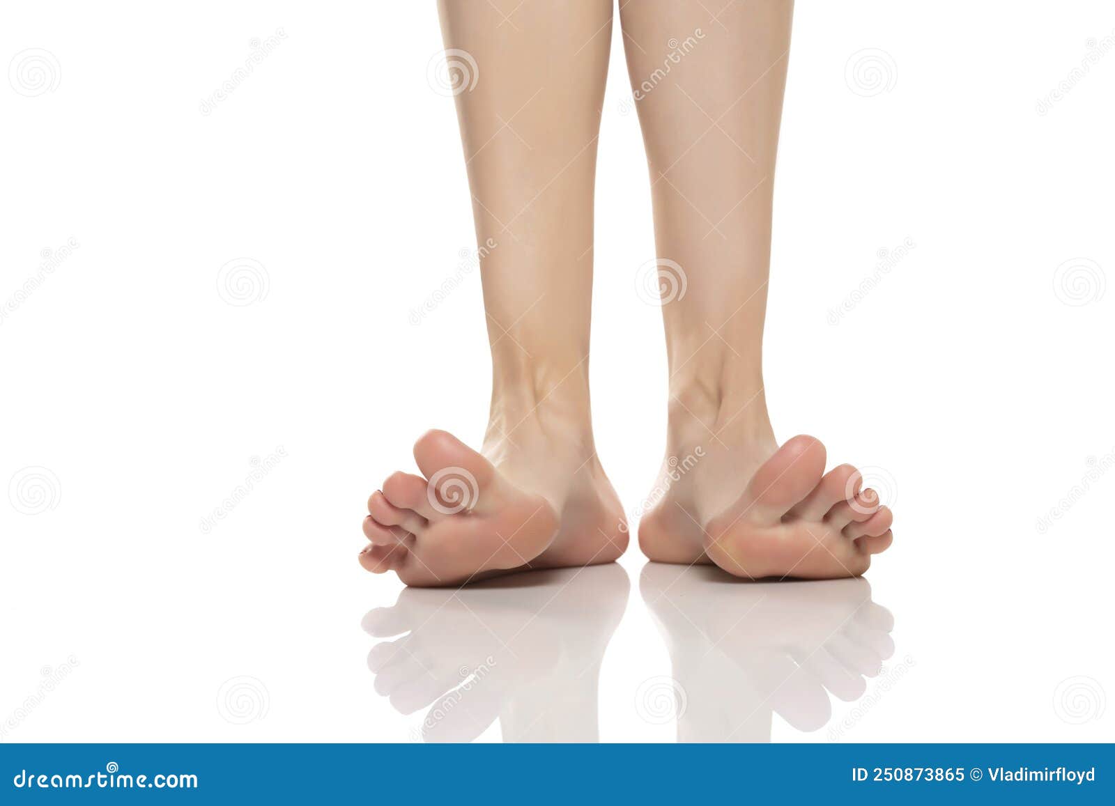 Front View of a Beautifully Cared Female Feet and Toes on a White ...