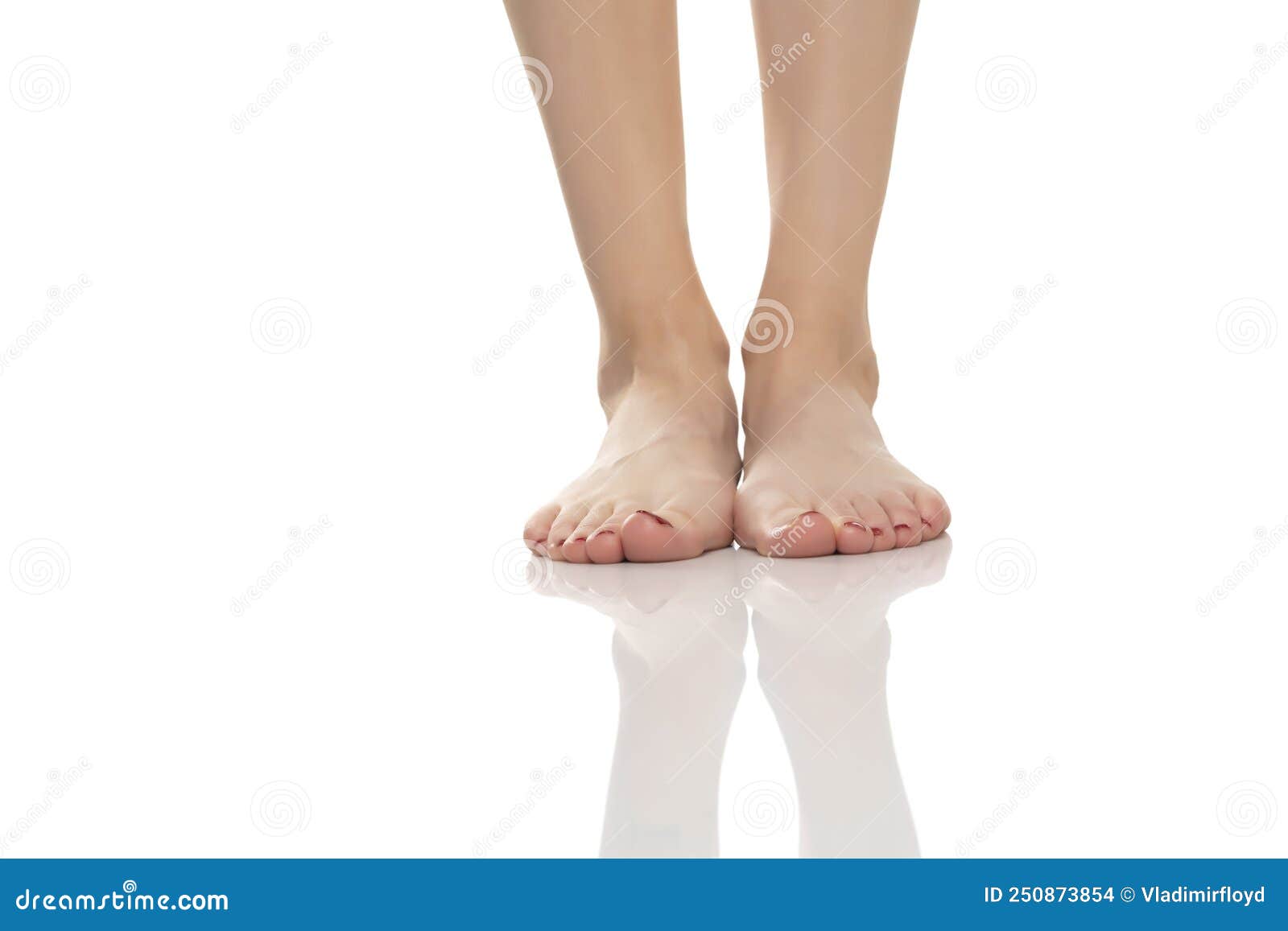 Front View of a Beautifully Cared Female Feet on a White Background ...