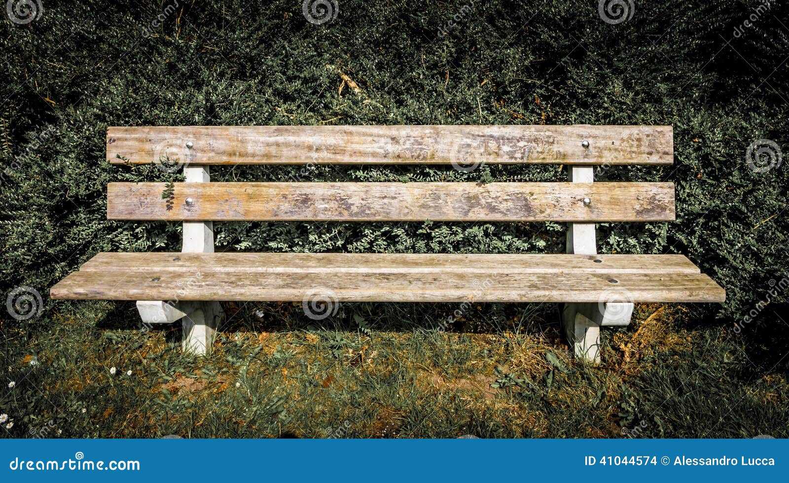Park Bench Front View