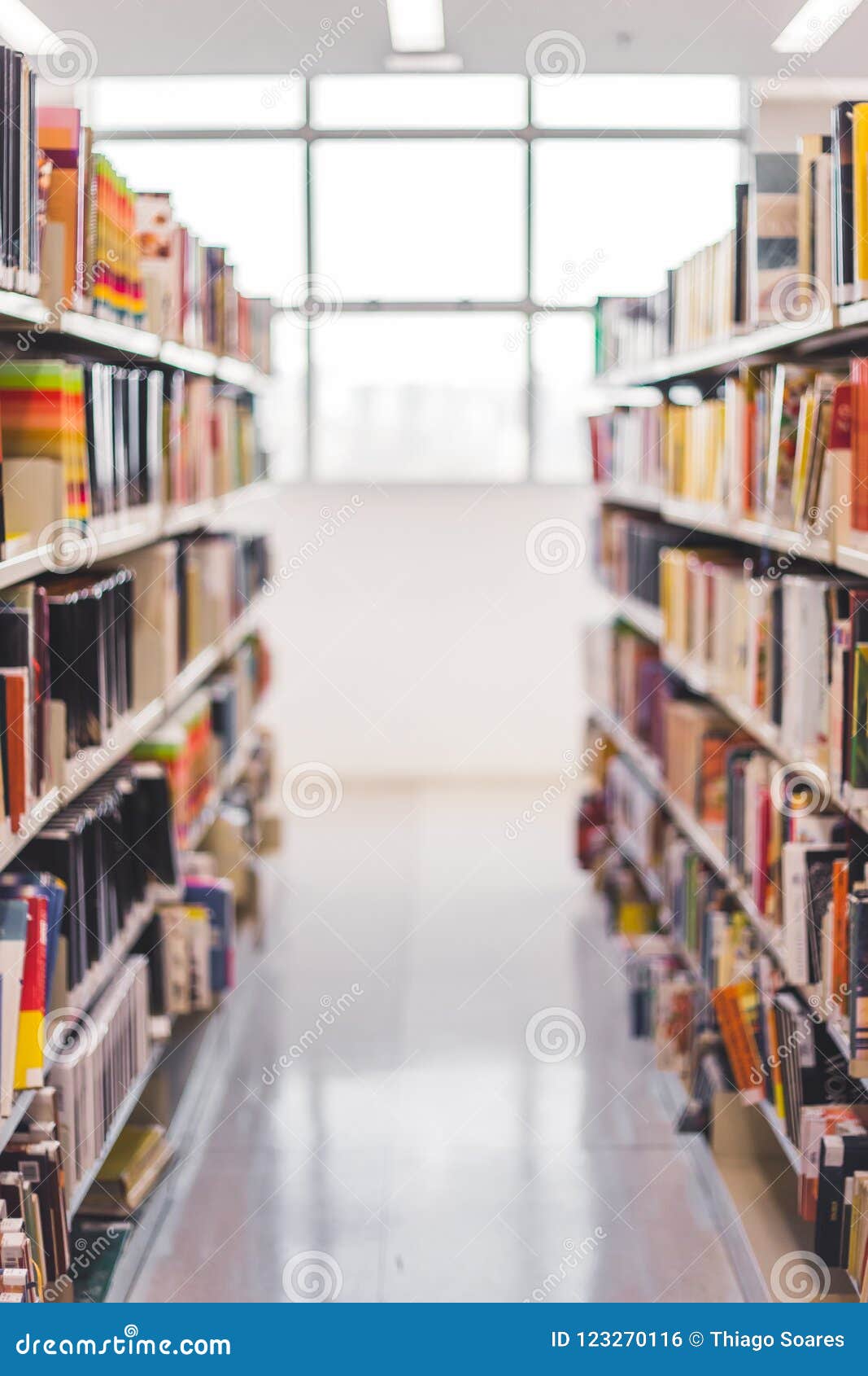 Front View from a Book Hall in a Library. Stock Photo - Image of learn ...