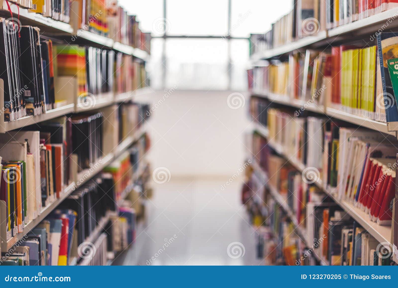 Front View from a Book Hall in a Library. Stock Image - Image of ...
