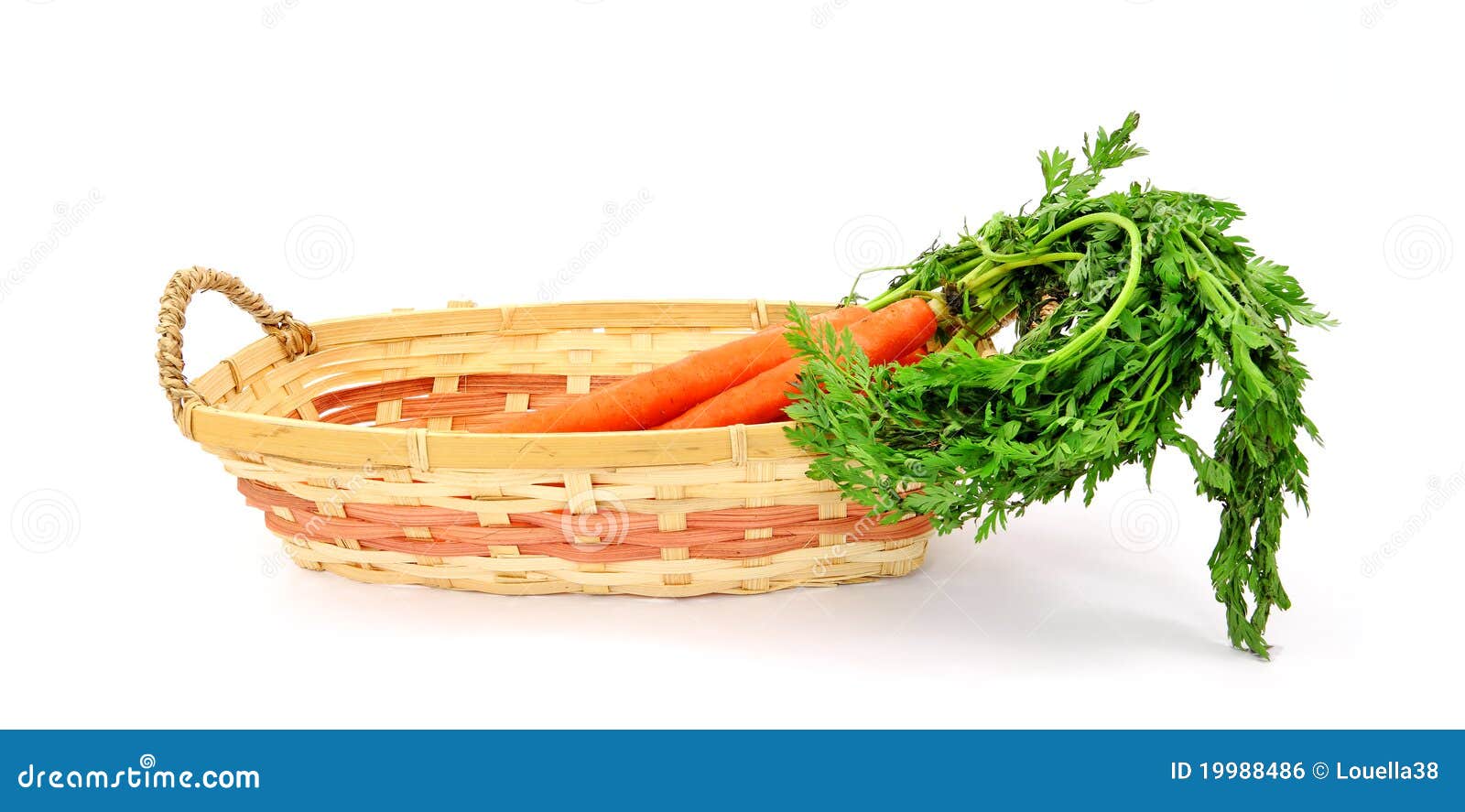 Front View Carrots in Basket Stock Photo - Image of basket, front: 19988486