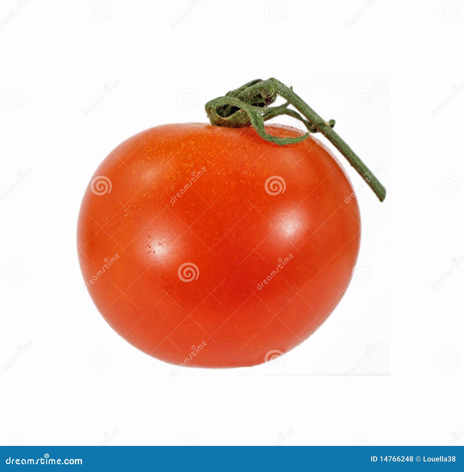 Front View Cherry Tomatoes stock photo. Image of front - 14766248