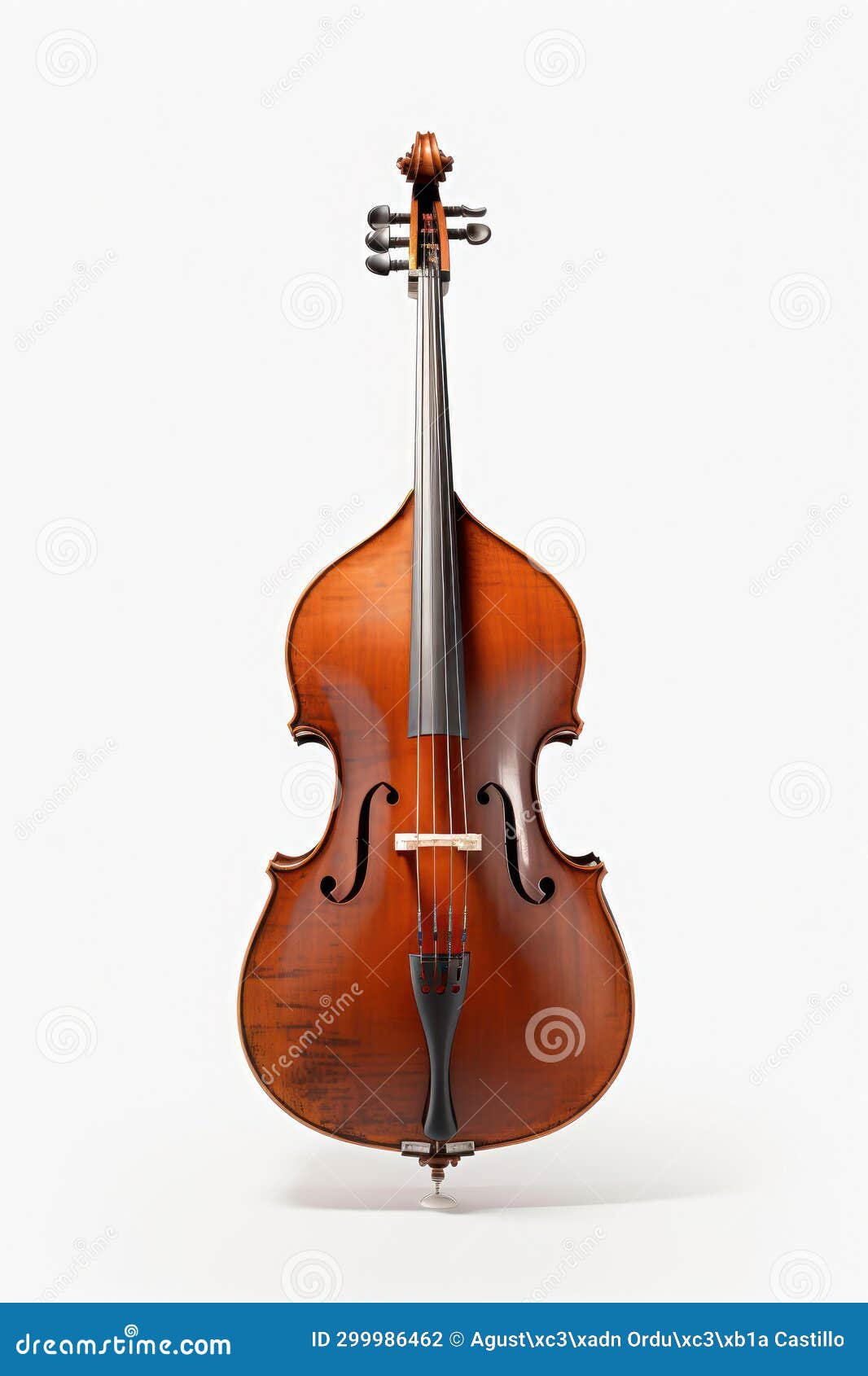 Front View of the Classic Double Bass. Isolated on White Background ...
