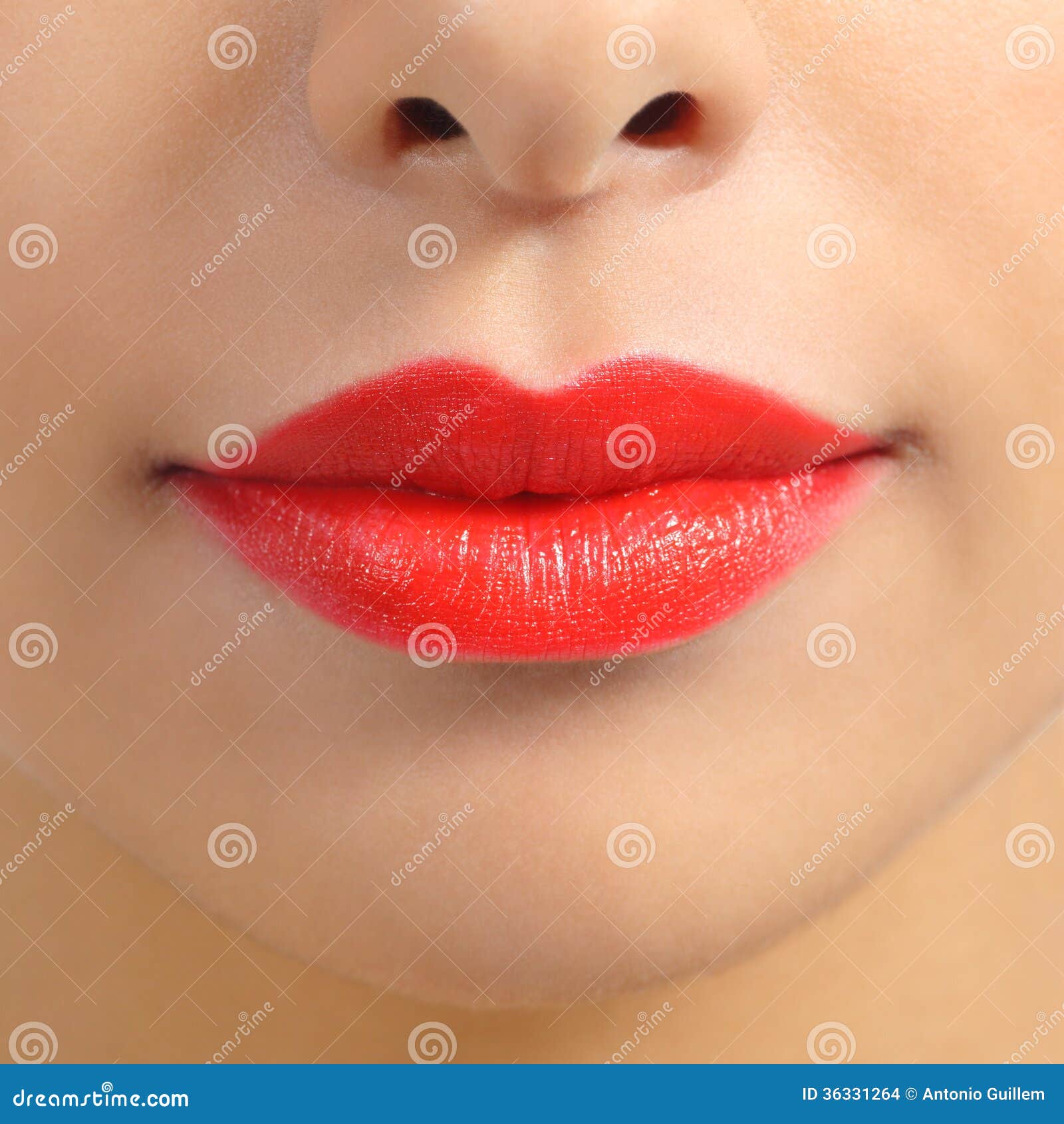 Front View of a Close Up of a Red Woman Lips Stock Photo - Image of ...