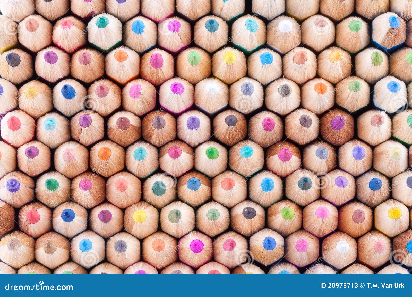 Front View of Colored Wooden Pencils Stock Image - Image of pastel ...