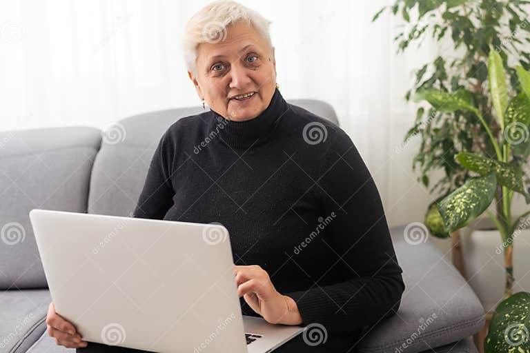 Front View Concentrated Pleasant Mature Older Woman Looking at Computer ... Front View Concentrated Pleasant Mature Older Woman Looking at Computer ...