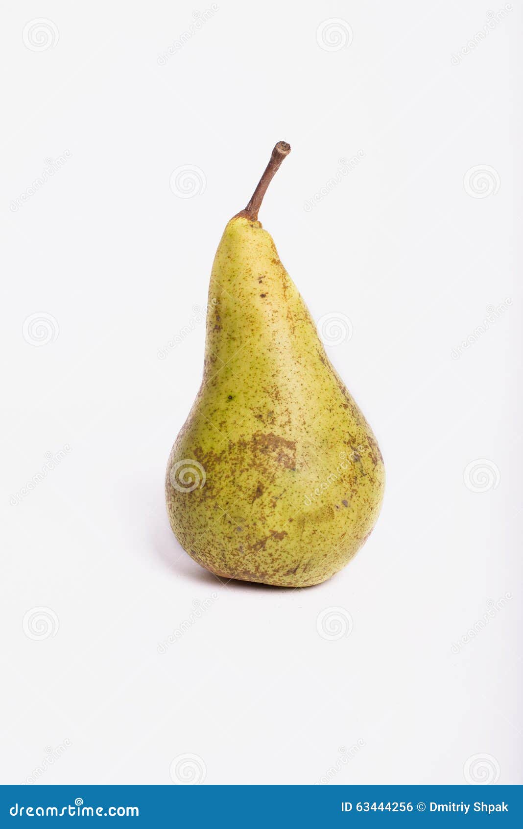 Front View of Conference Pear Isolated on White Stock Photo - Image of ...