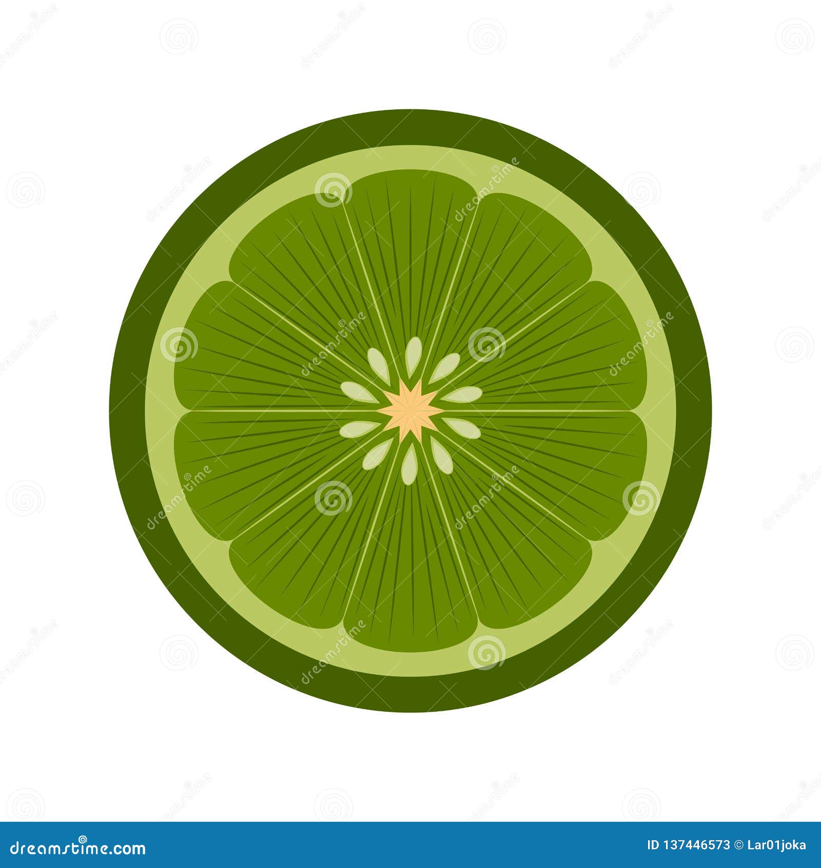 Front view of a cut lime stock vector. Illustration of diet - 137446573