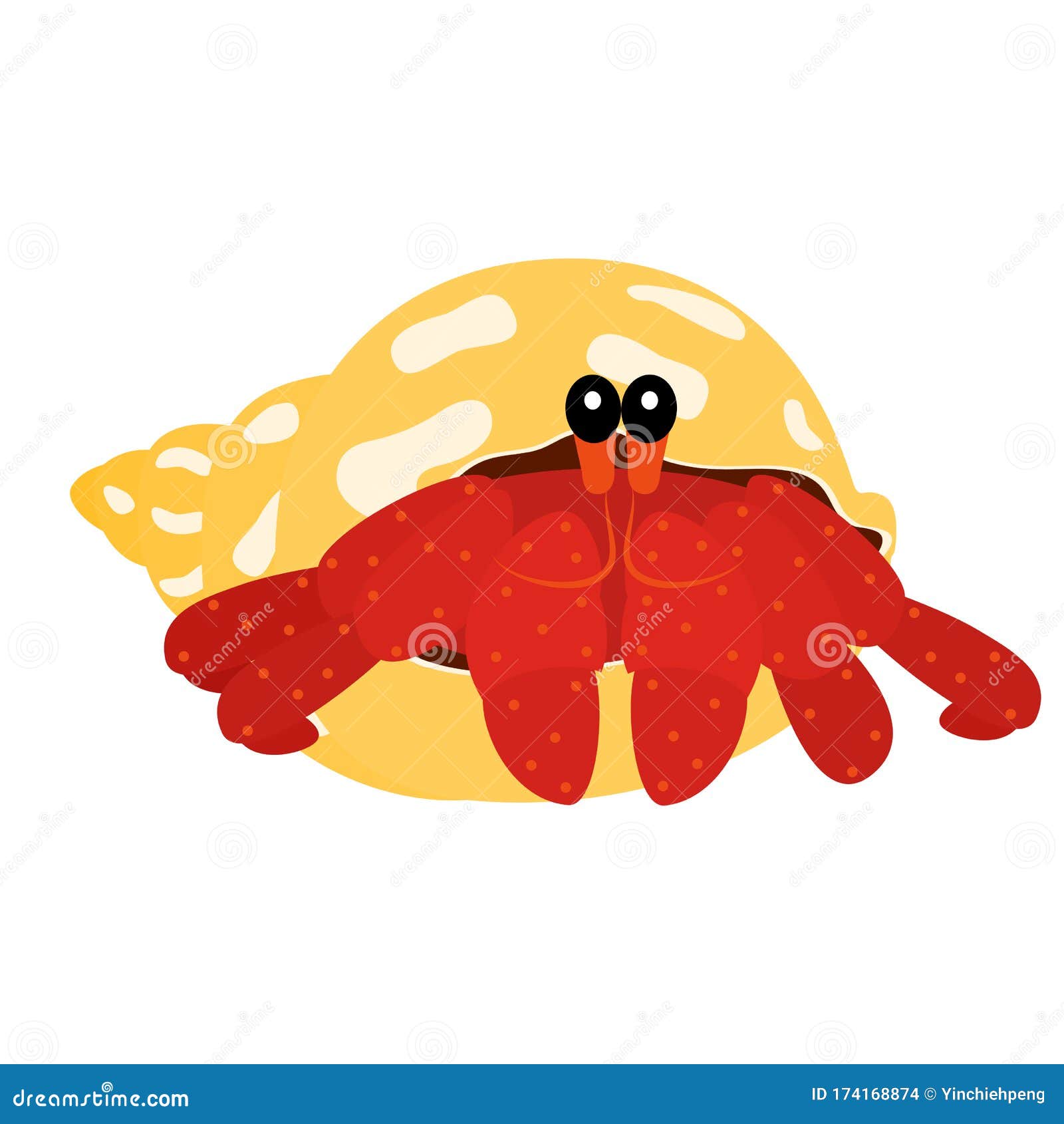 Front View Of Cute Cartoon Hermit Crab Isolated On White Background Crab Icon Vector Hand