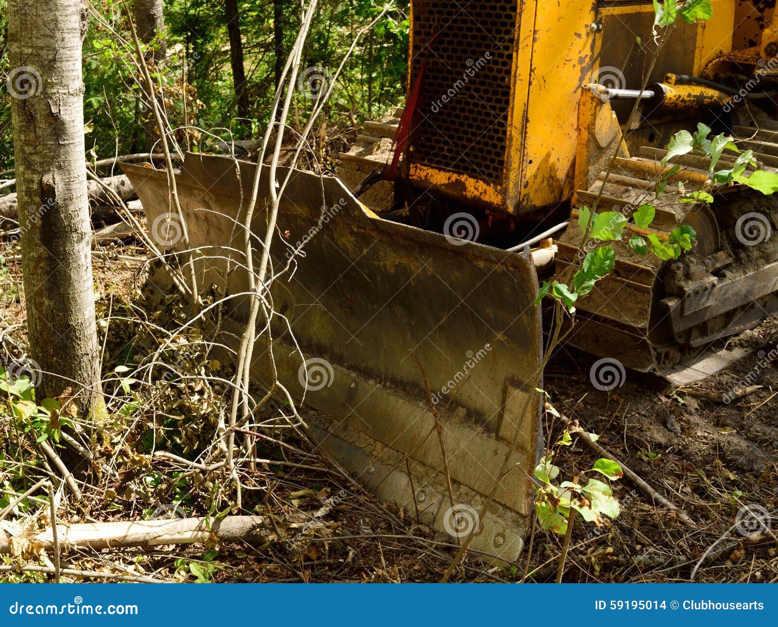 Front View Del Bulldozer in Foresta Fotografia Stock - Immagine di ...