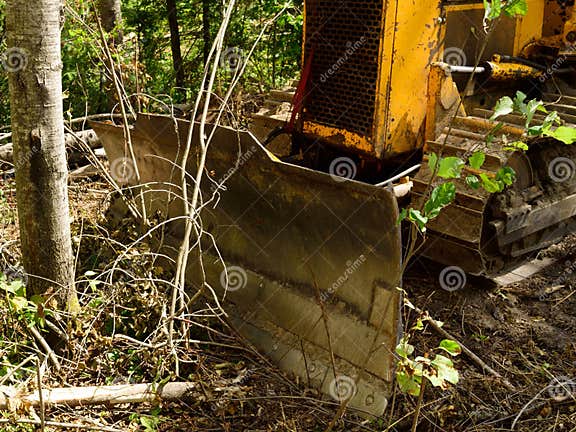 Front View of Dozer in Forest Stock Photo - Image of construction ...