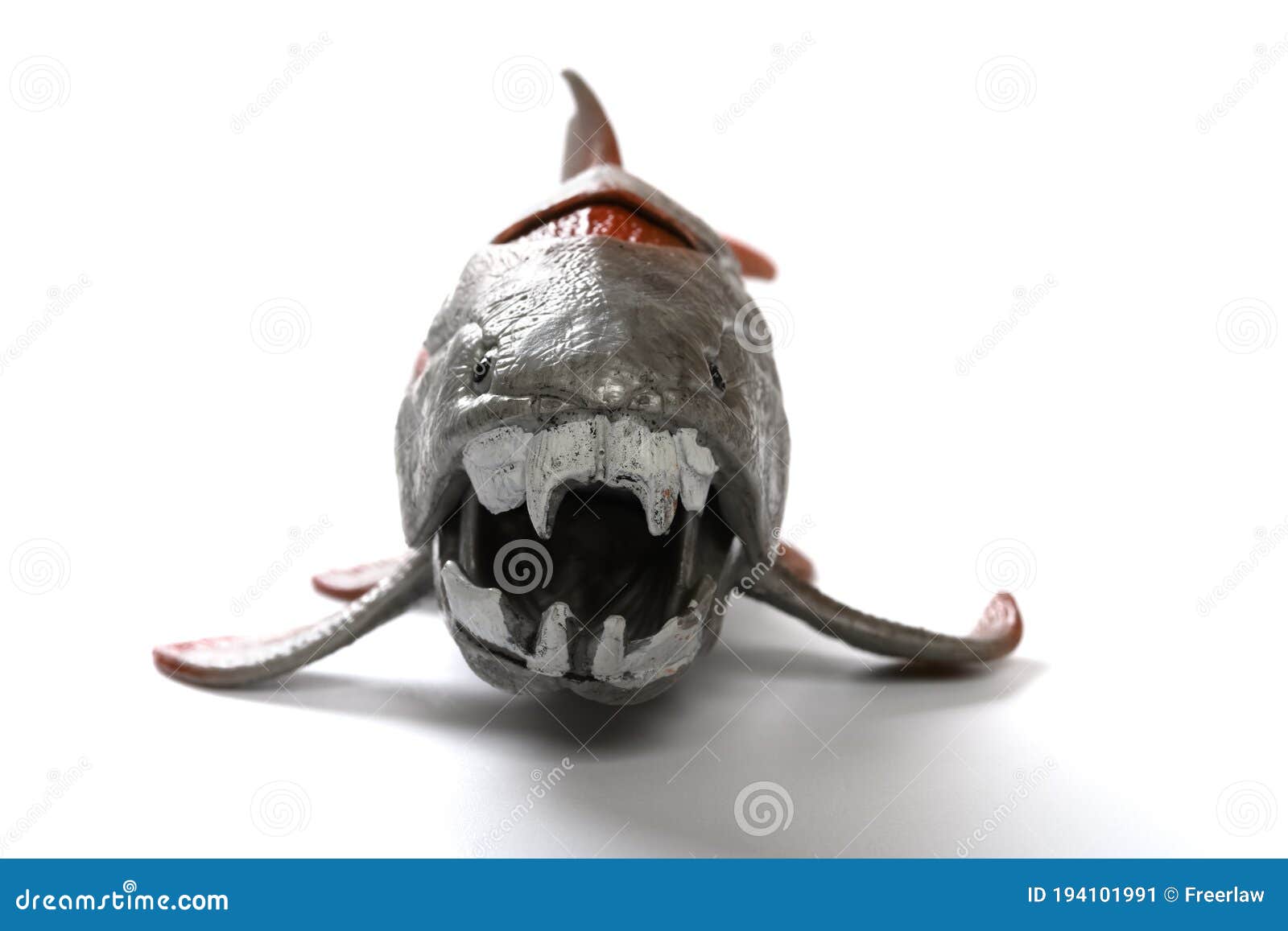 Front View Dunkleosteus Terrelli Model on White Close Up on the Head ...