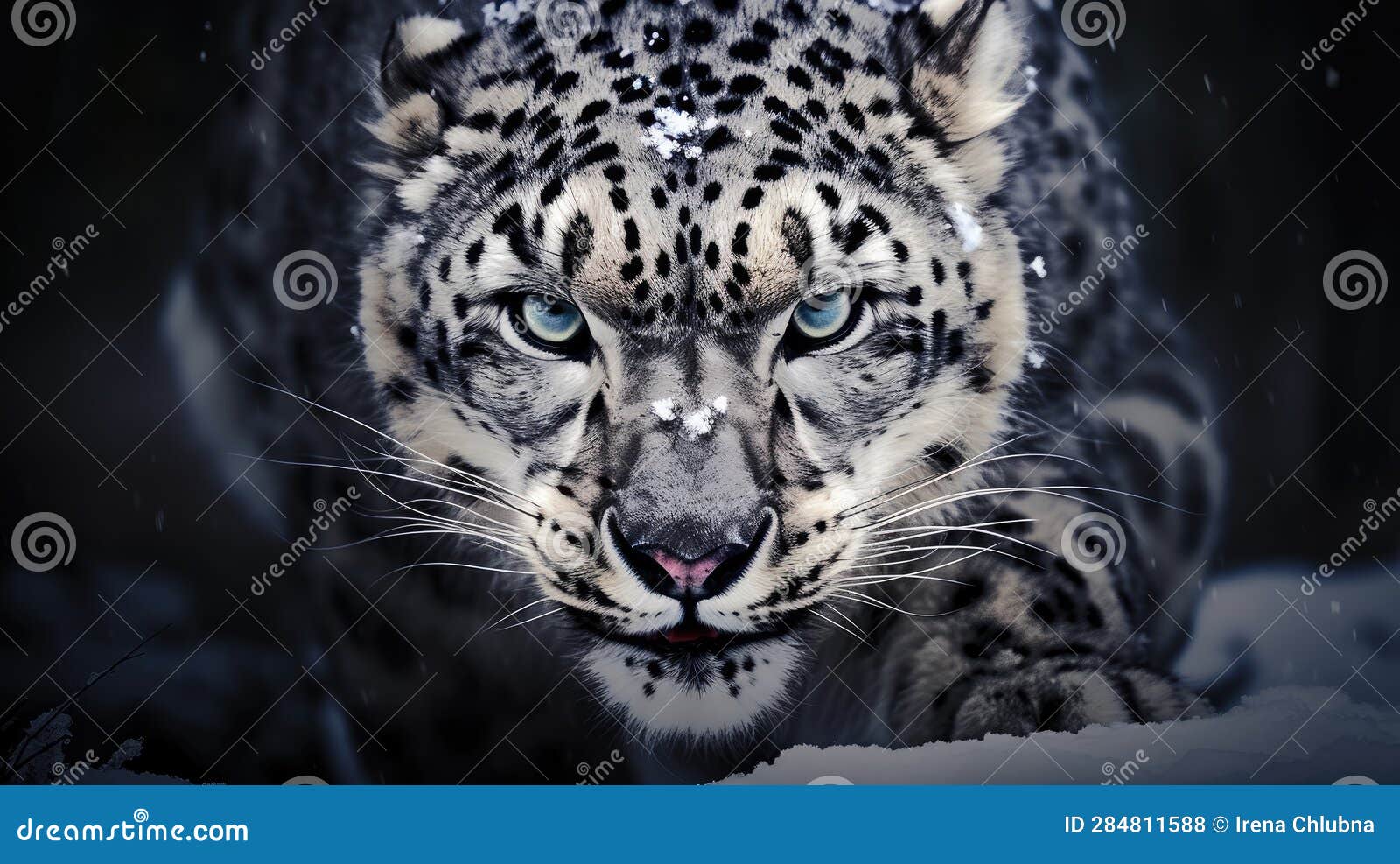 Front View of a Fierce Snow Leopard. Generative AI Stock Illustration ...