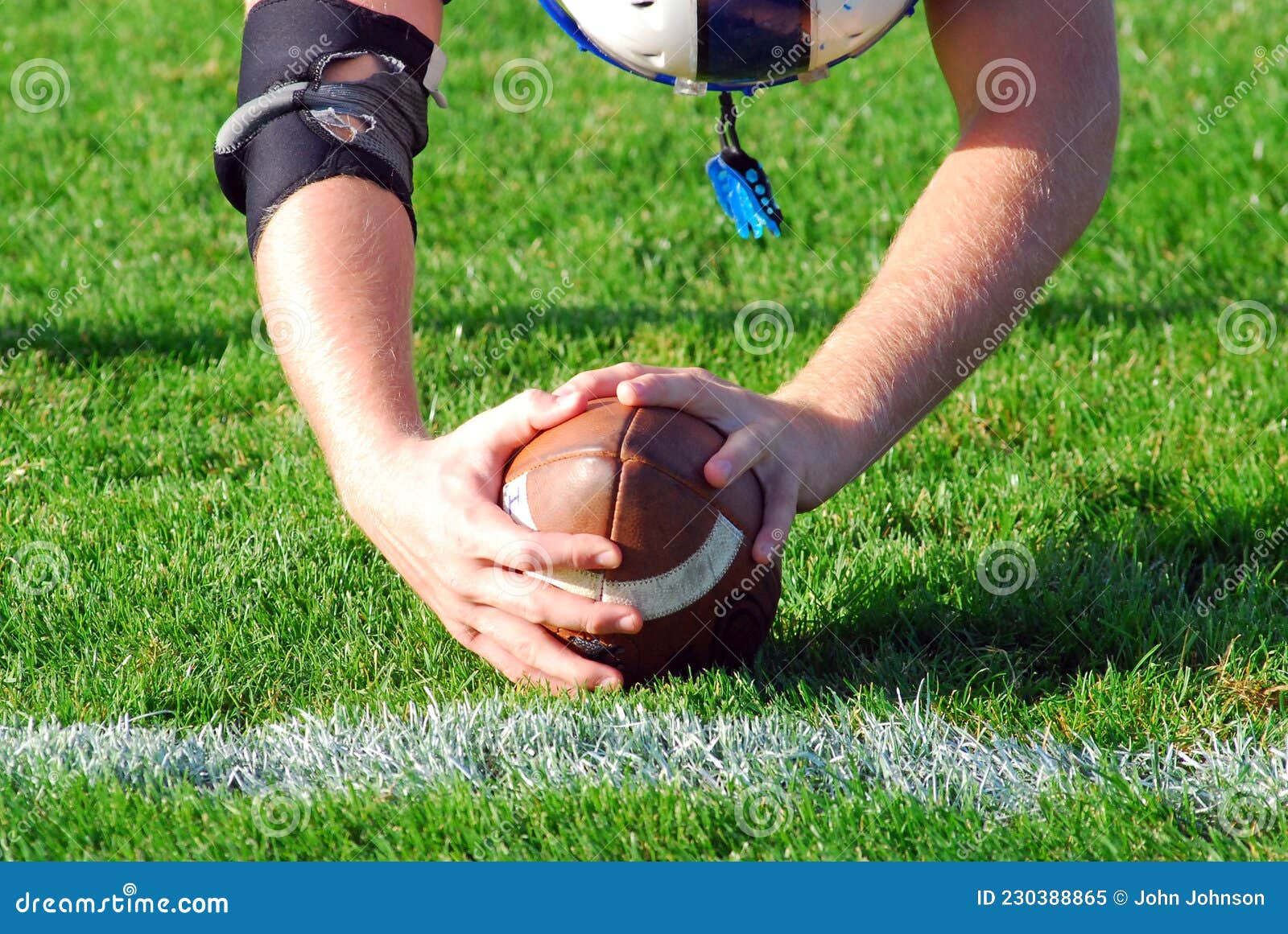 Snapper from the Front stock image. Image of view, highschool - 230388865