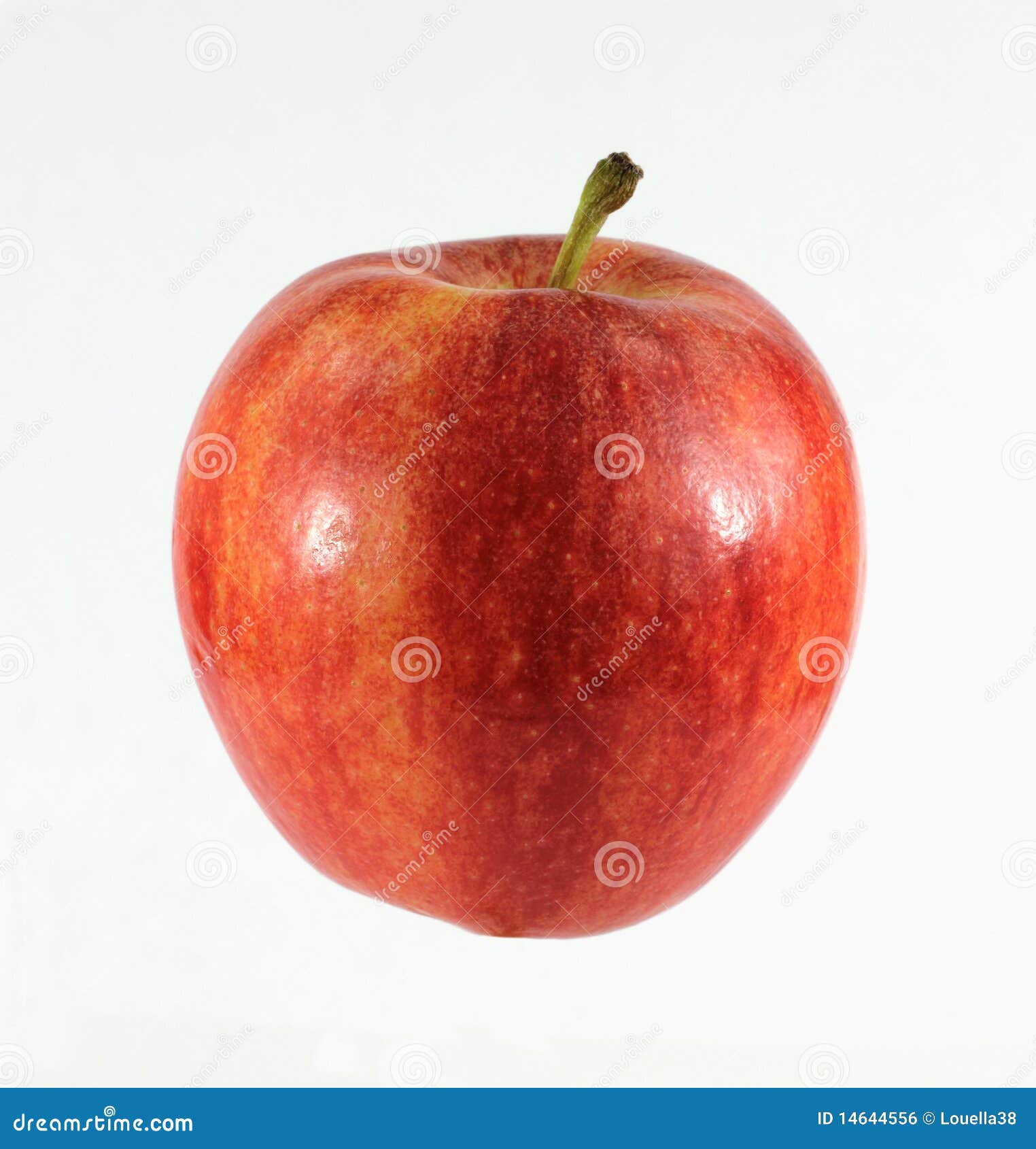 Front View Gala Apple stock photo. Image of firm, oval - 14644556