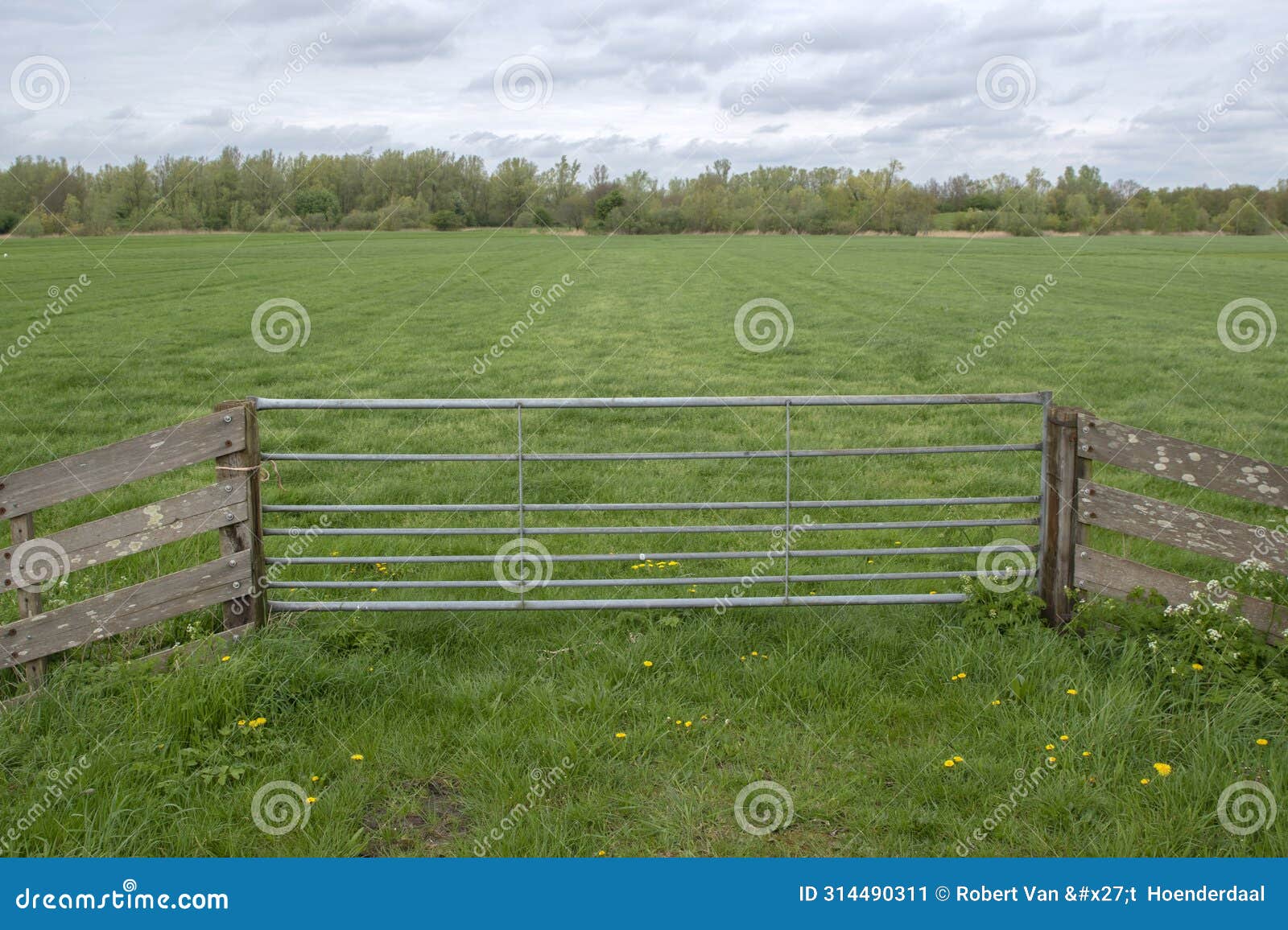 Front View Gate at a Farmland at Abcoude the Netherlands 8-4-2024 ...