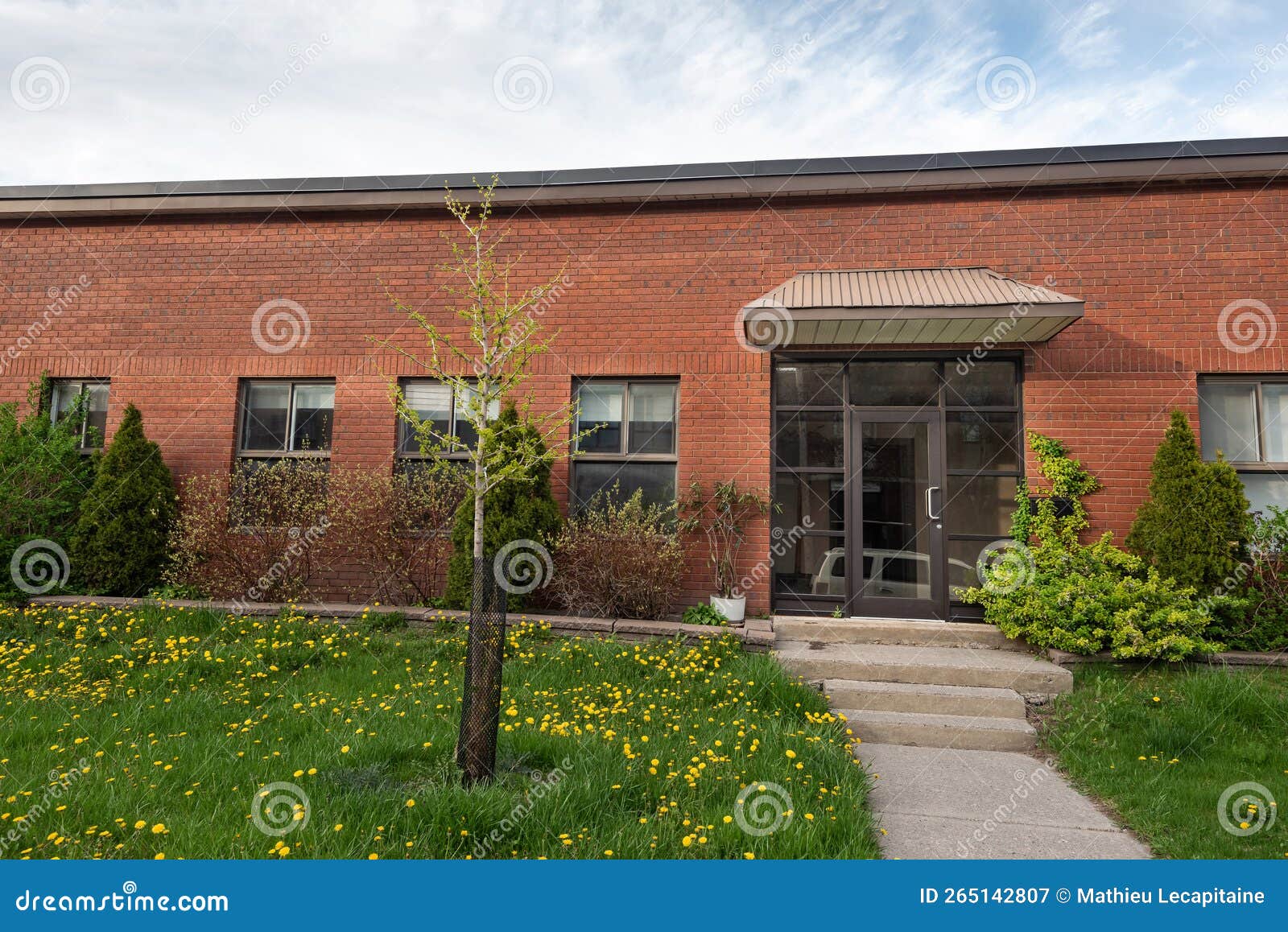 Front View of Generic Small Business Building Exterior Stock Image ...