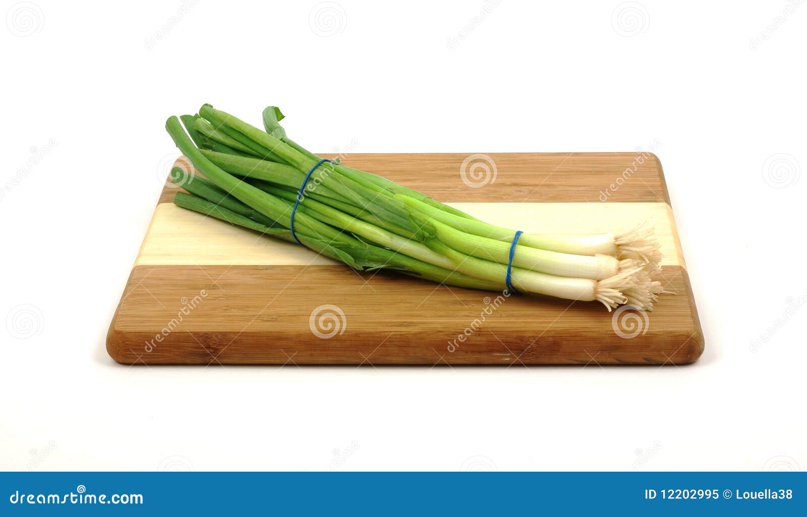Front view green onions stock image. Image of roots, front - 12202995