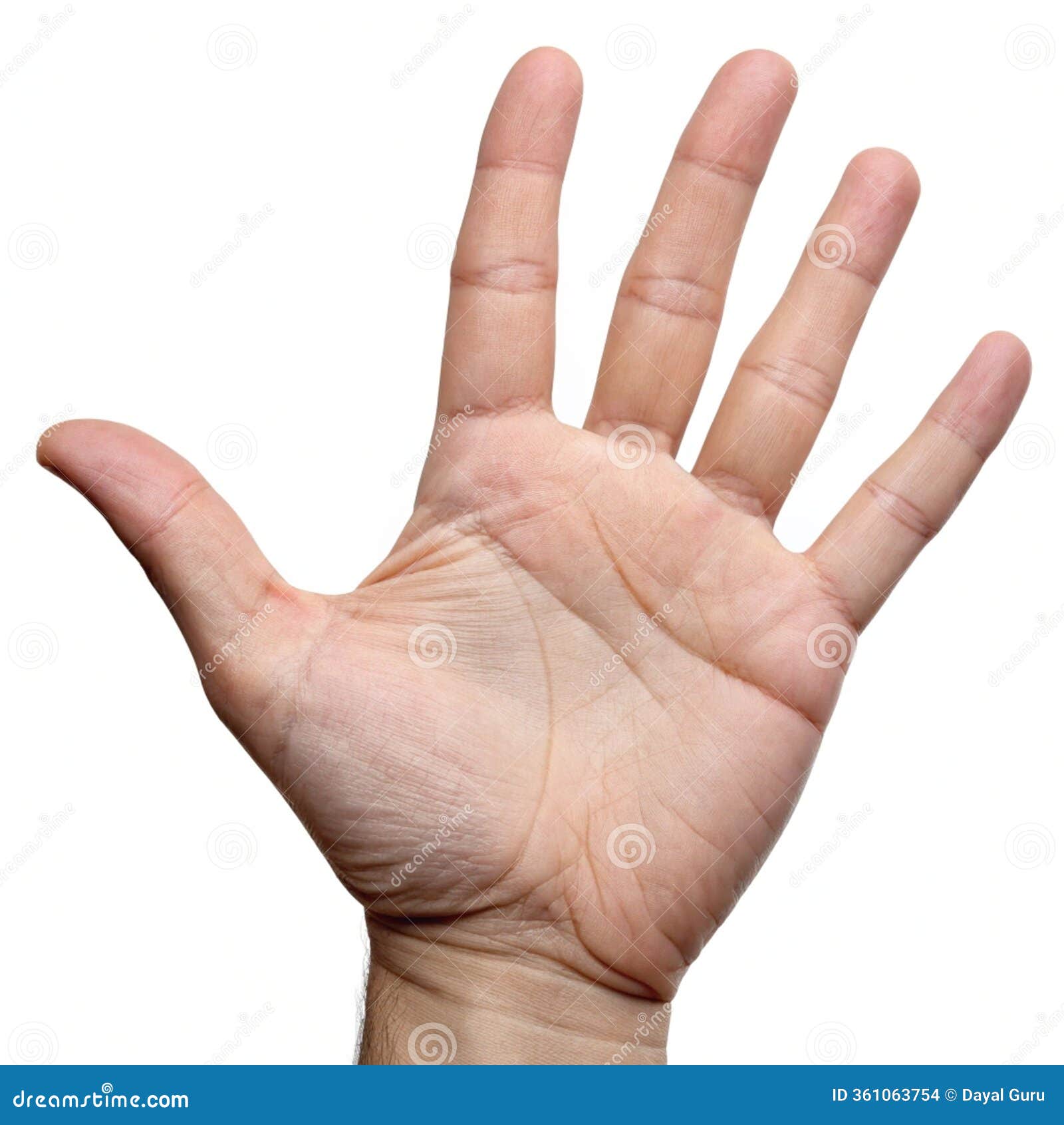 Front View of Hand Showing Palm Isolated on White Background Stock ...