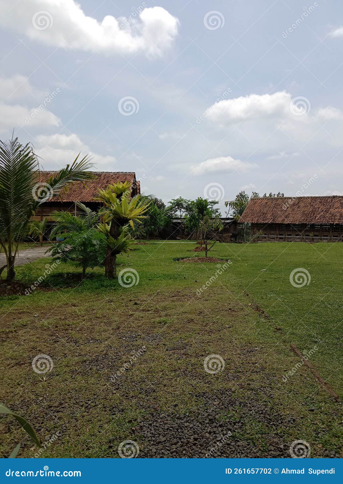 Front view of the house stock photo. Image of plantation - 261657702
