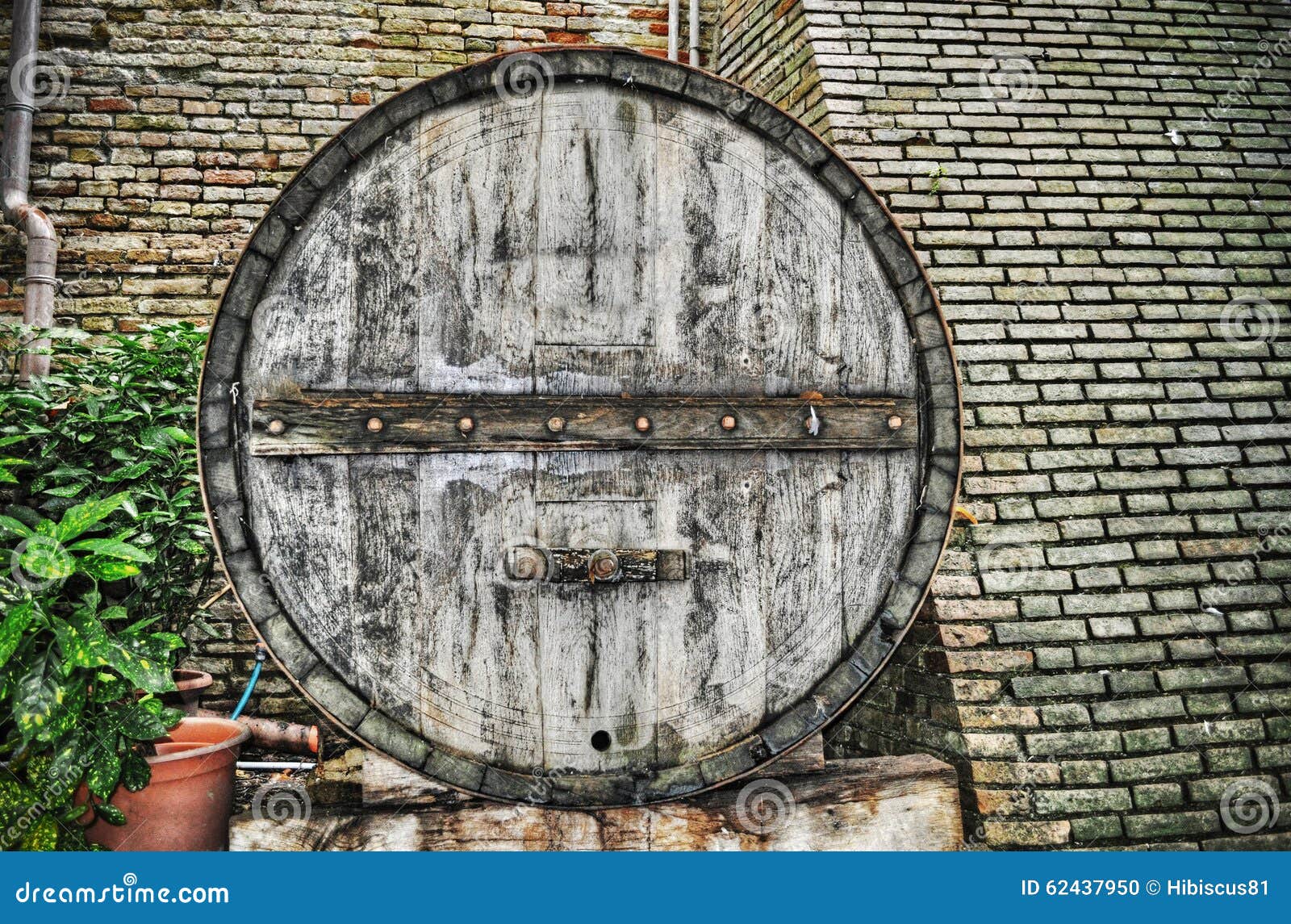 Front View of a Huge Barrel in a Rustic Corner Stock Photo - Image of ...