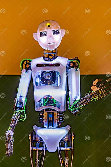 Front View of Humanoid Robot Looking at Camera Stock Photo - Image of ...