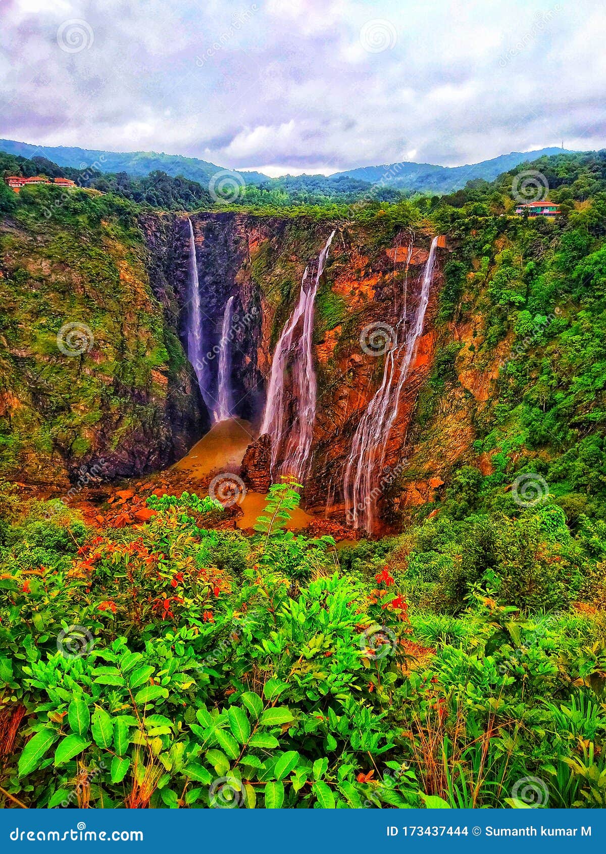 Front View of Jog Falls Shimoga Stock Photo - Image of view, shimoga ...