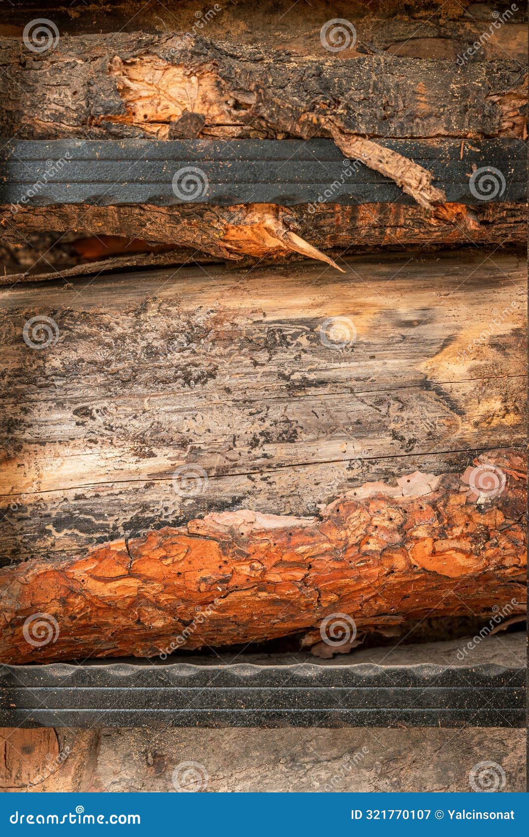 Front View of Log Wall Mounted with Wrought Iron Stock Image - Image of ...