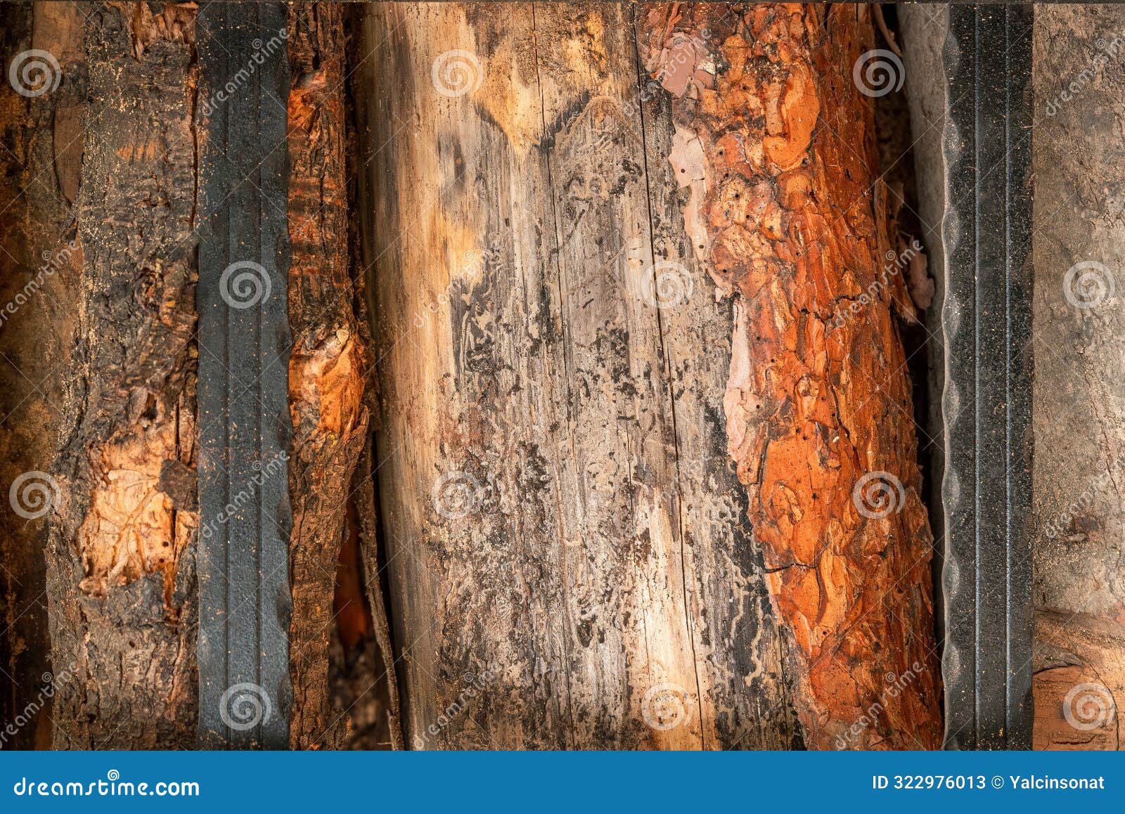 Front View of Log Wall Mounted with Wrought Iron Stock Image - Image of ...
