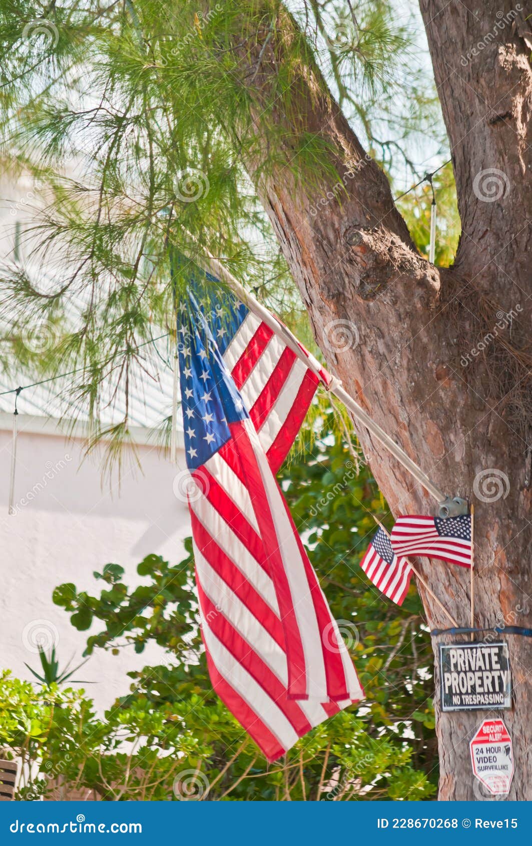 One Large and Two Small American Flag, Hung from a Tree Stock Photo ...