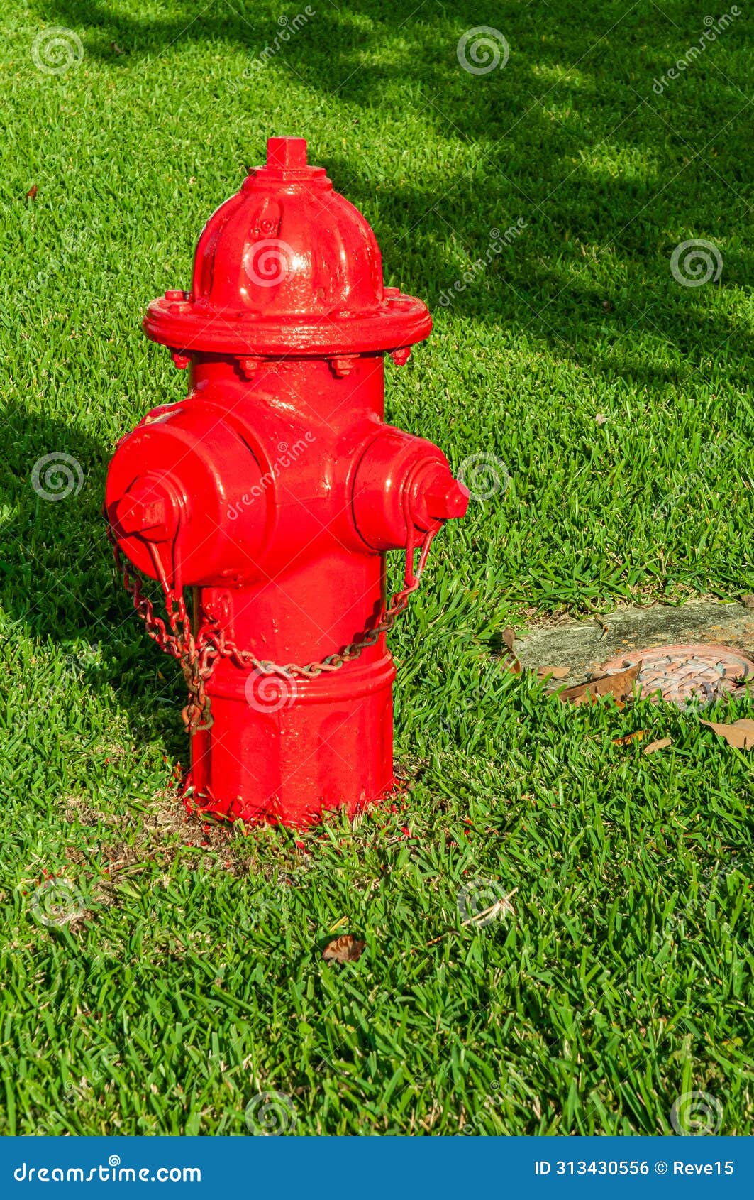 Red Fire Hydrant, on Grass Location Stock Photo - Image of hydrant ...