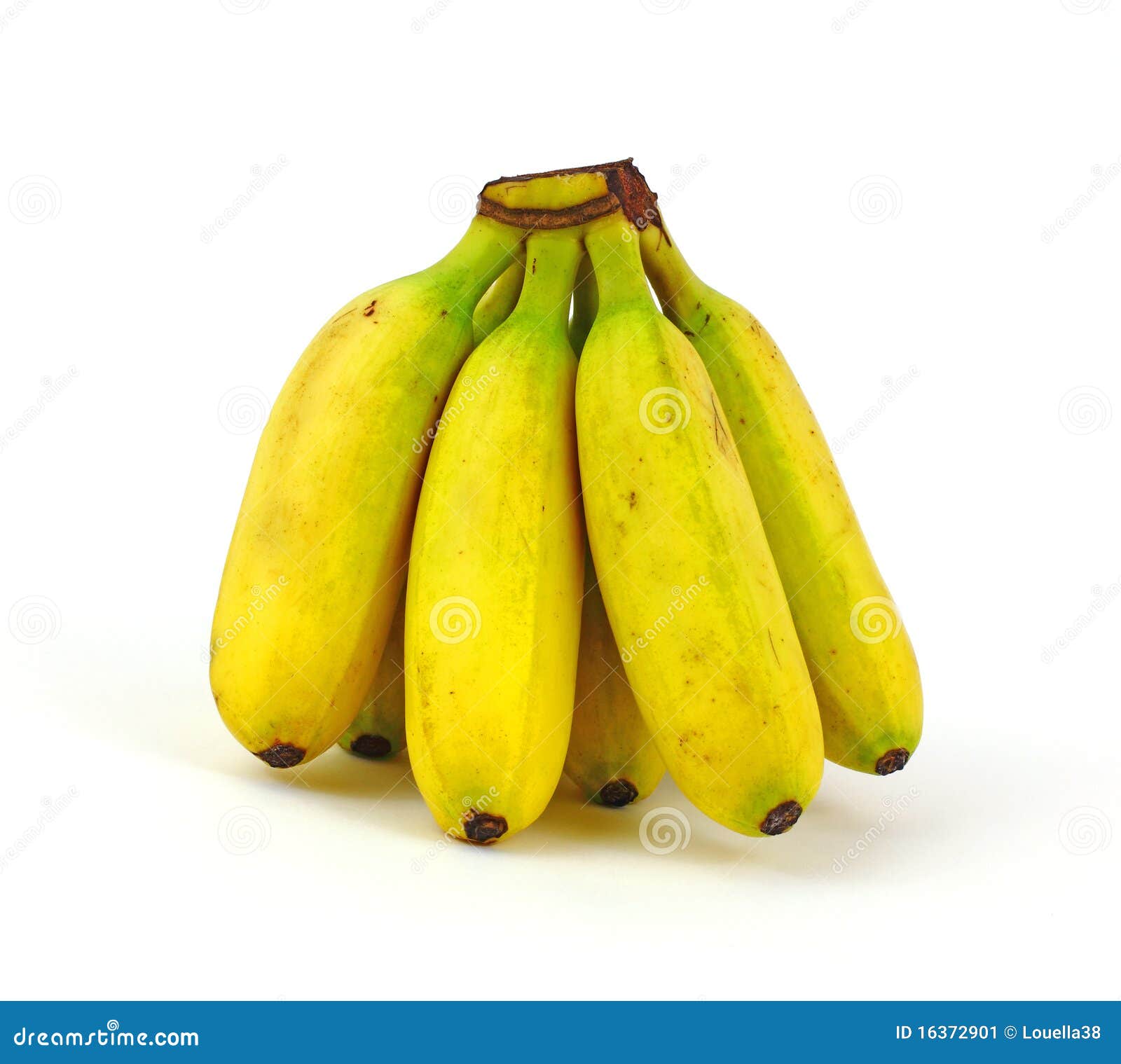 Front View Mini Bananas stock image. Image of isolated - 16372901