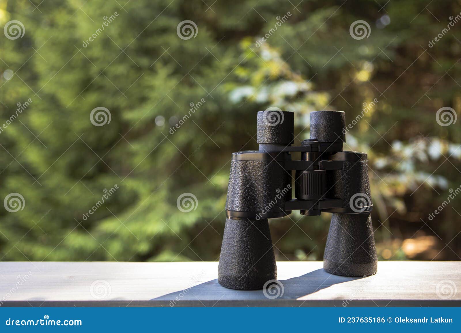 Front View Nature Binocular. High Quality Photo Stock Photo - Image of ...