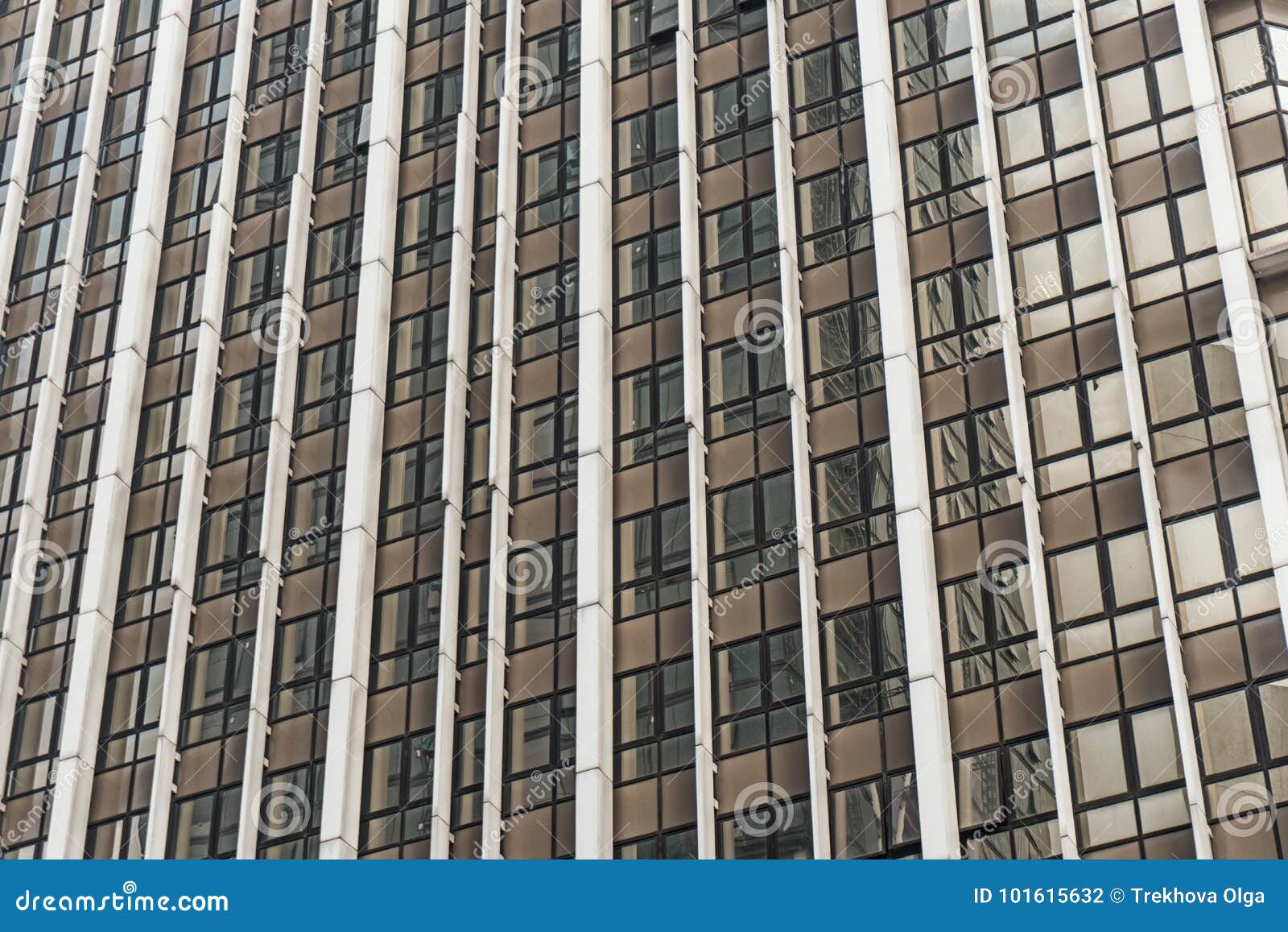 Front View of Office Building Windows Stock Photo - Image of molding ...