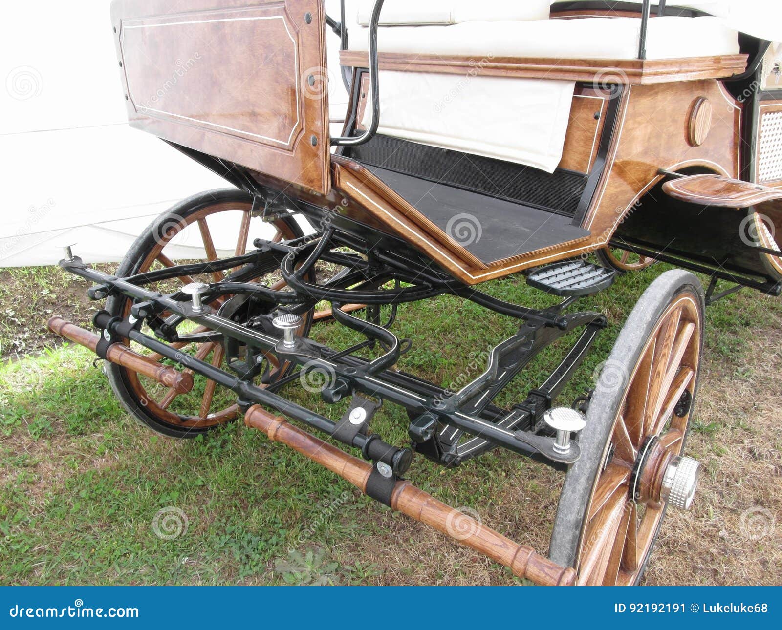 Front View of Old-fashioned Horse Carriage on Green Grass Stock Image ...