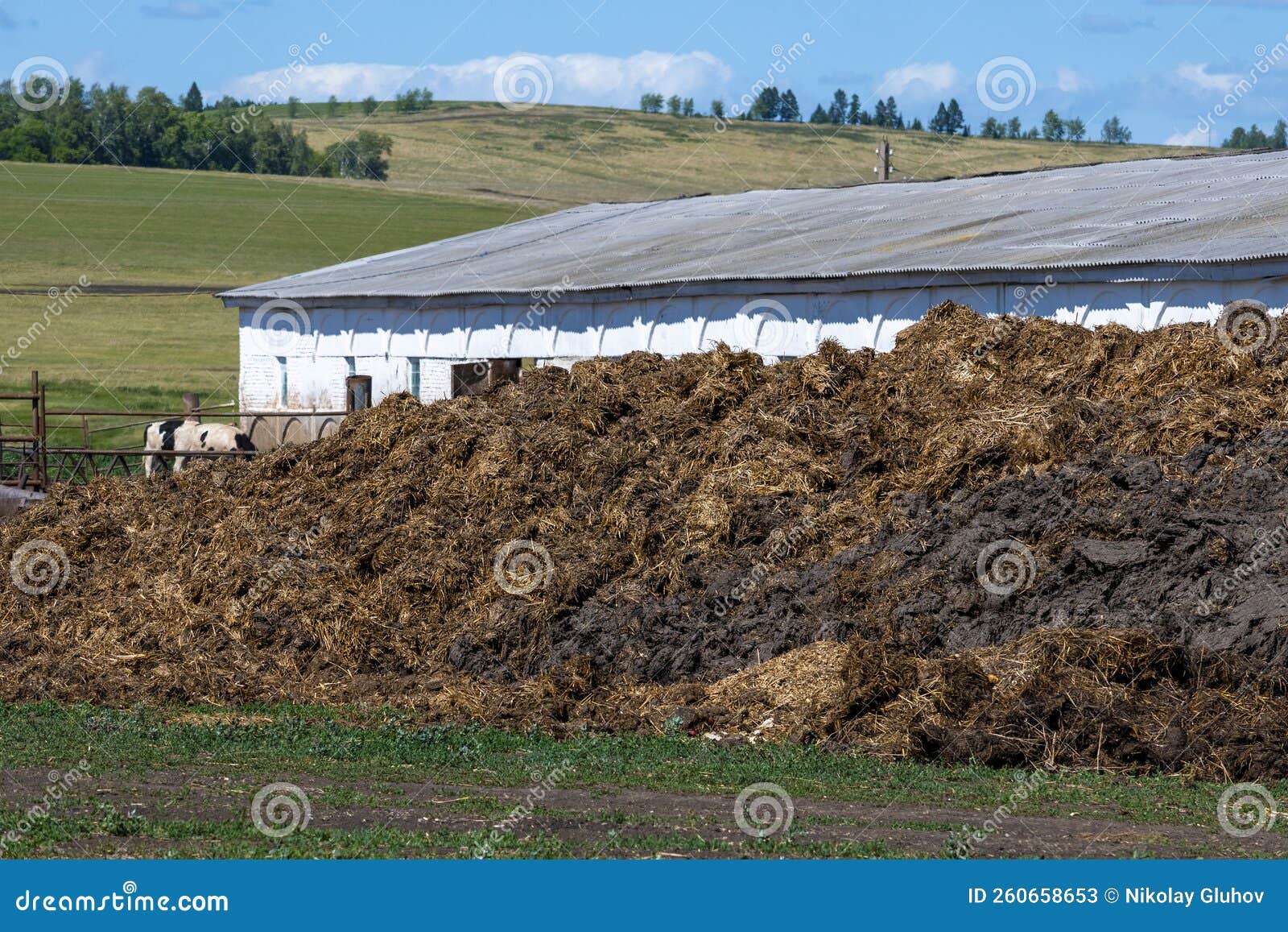 A Pile of Manure on the Farm Stock Image - Image of earth, cultivation ...