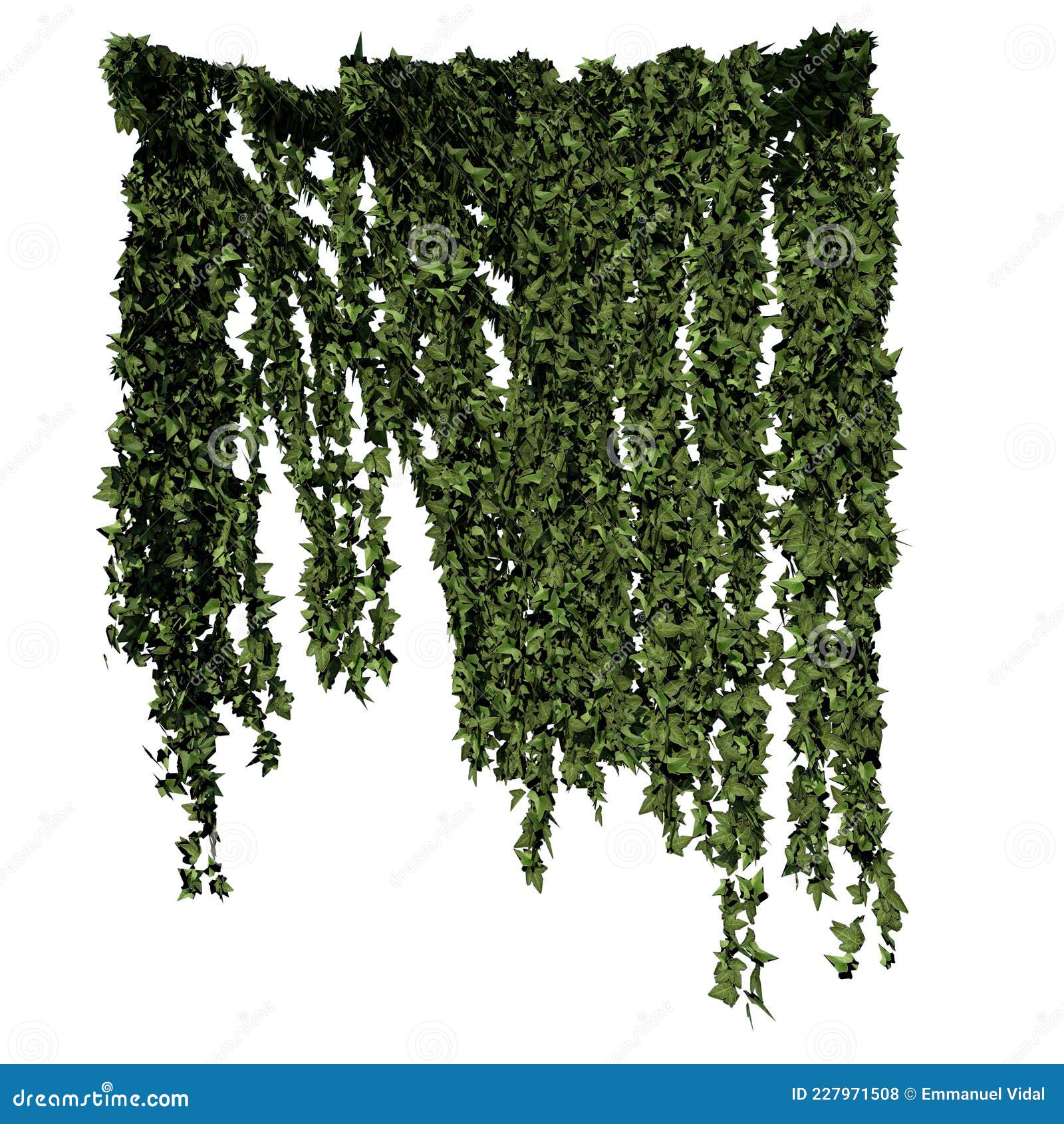 Front View of Plant Creeper Tree White Background 3D Rendering ...