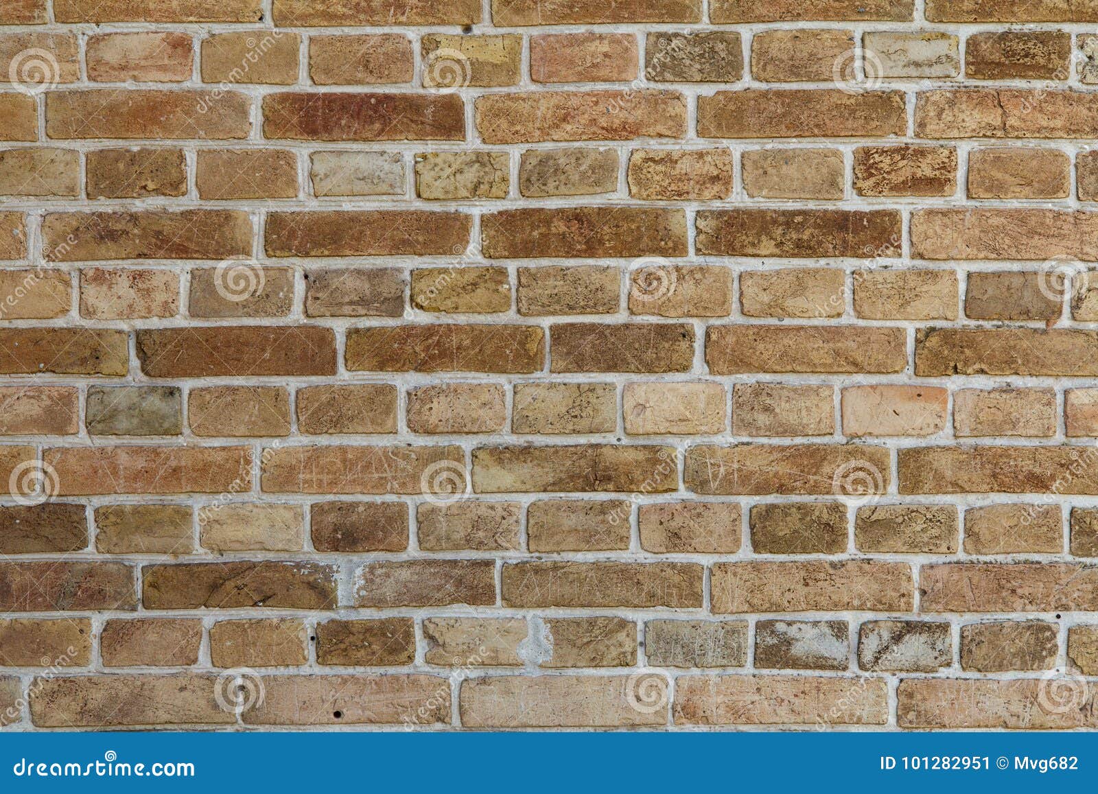 Front view of brick wall stock image. Image of architecture - 101282951