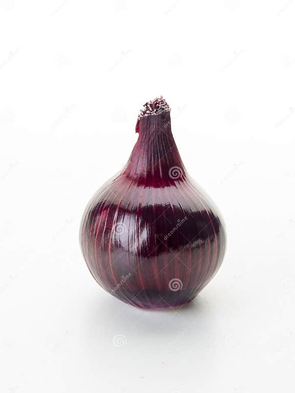 Front view of a red onion stock image. Image of view - 128424527
