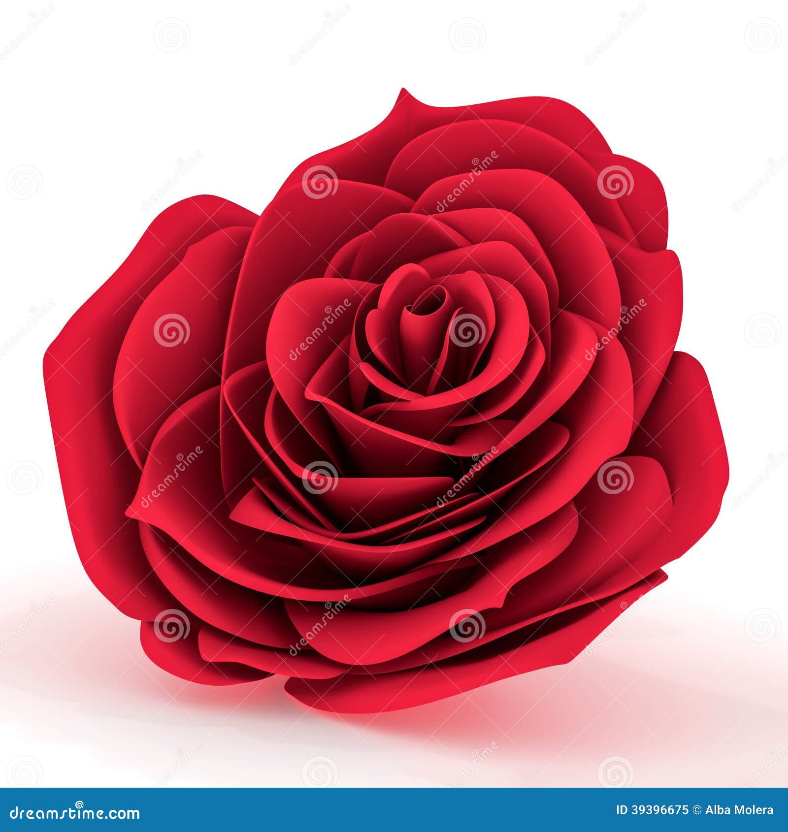 Front view of a red rose stock illustration. Illustration of holiday ...