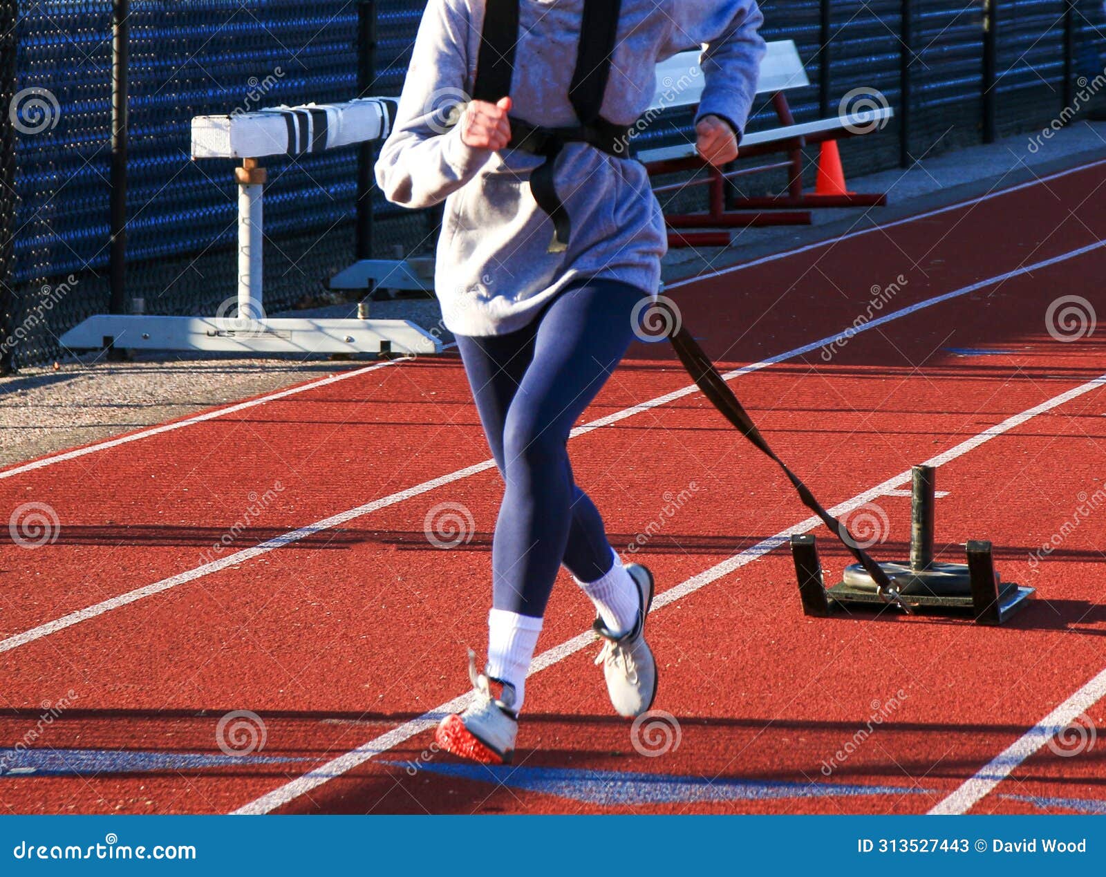 Front View of a Runner Pulling a Sled with Weight on Top Stock Image ...