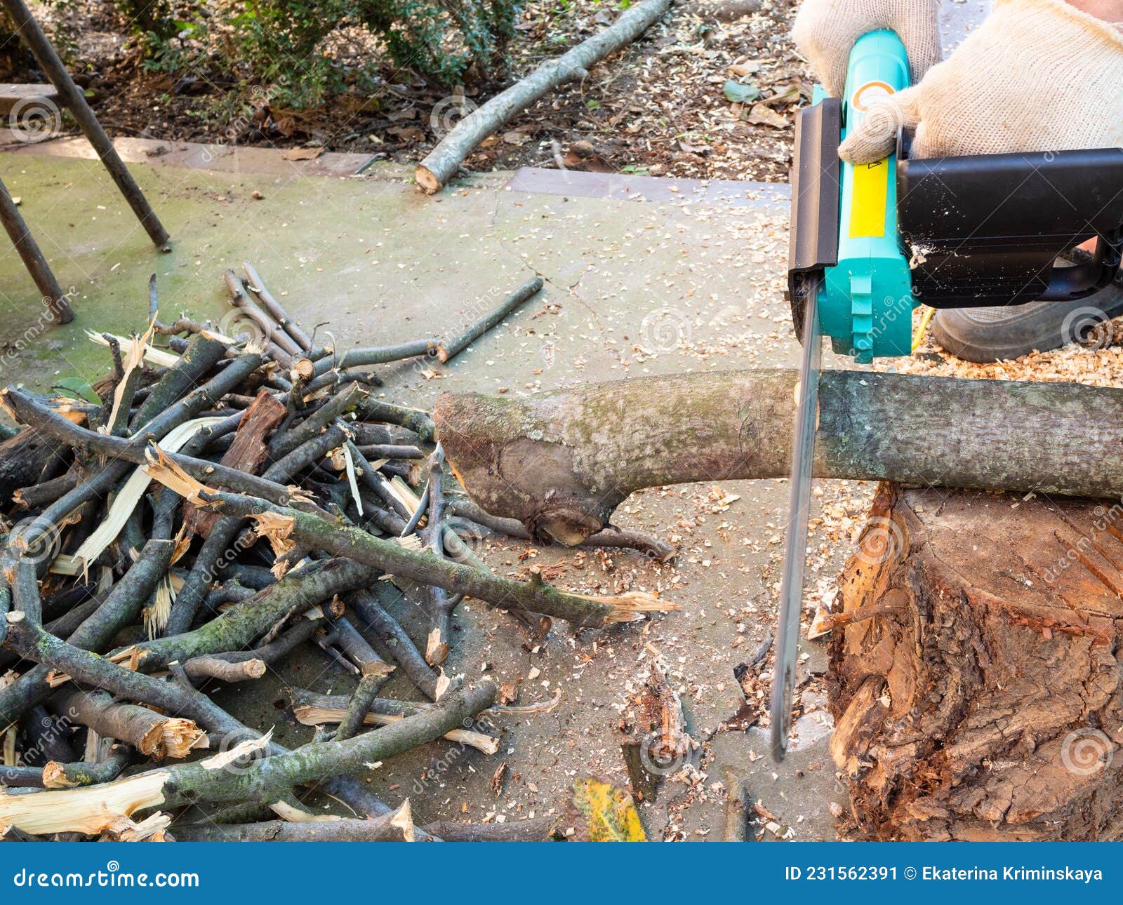 Front View of Sawing Tree Branch with Chain Saw Stock Image - Image of ...